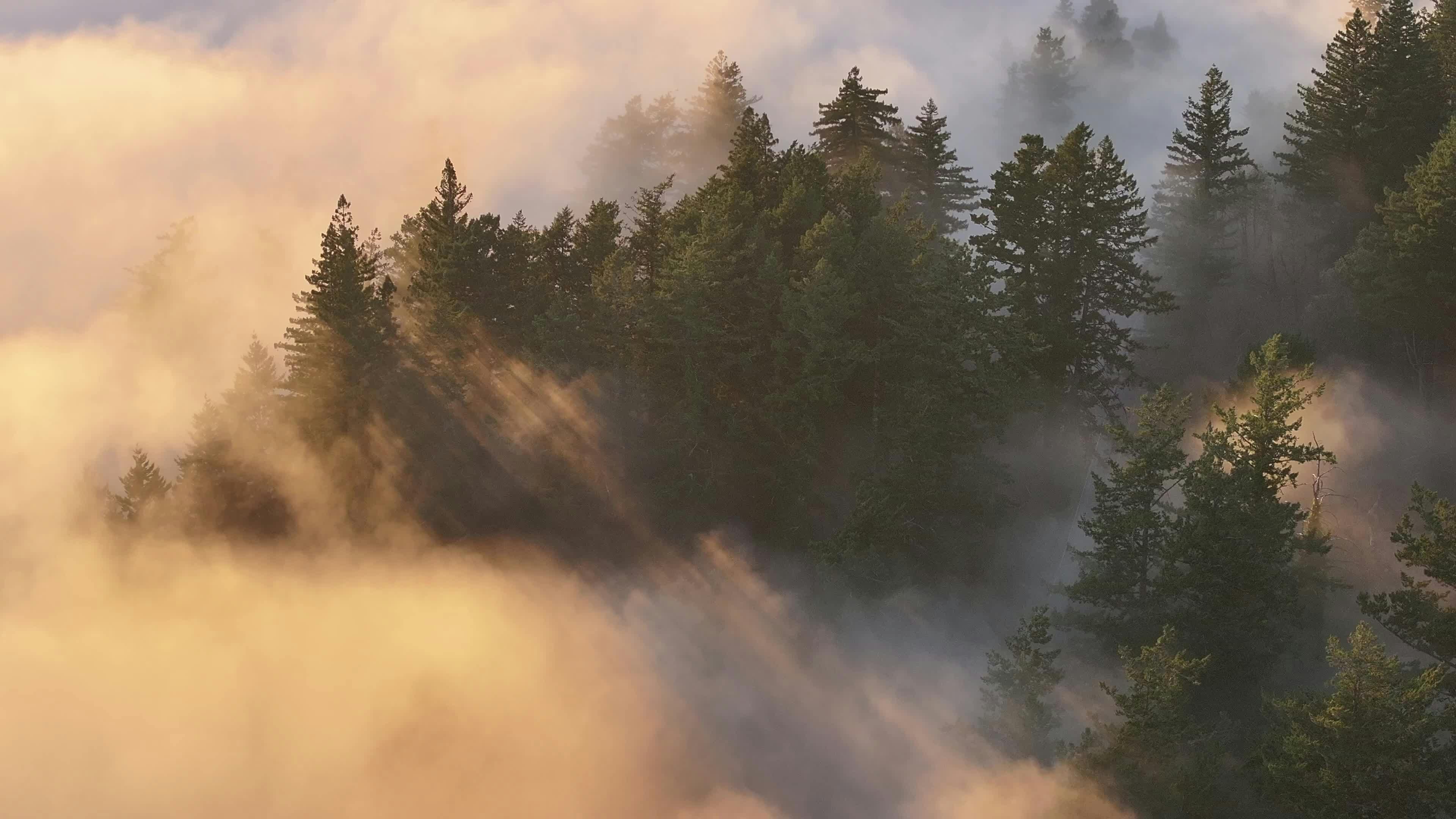 Behind The Scene Videos, Download The BEST Free 4k Stock Video Footage ...