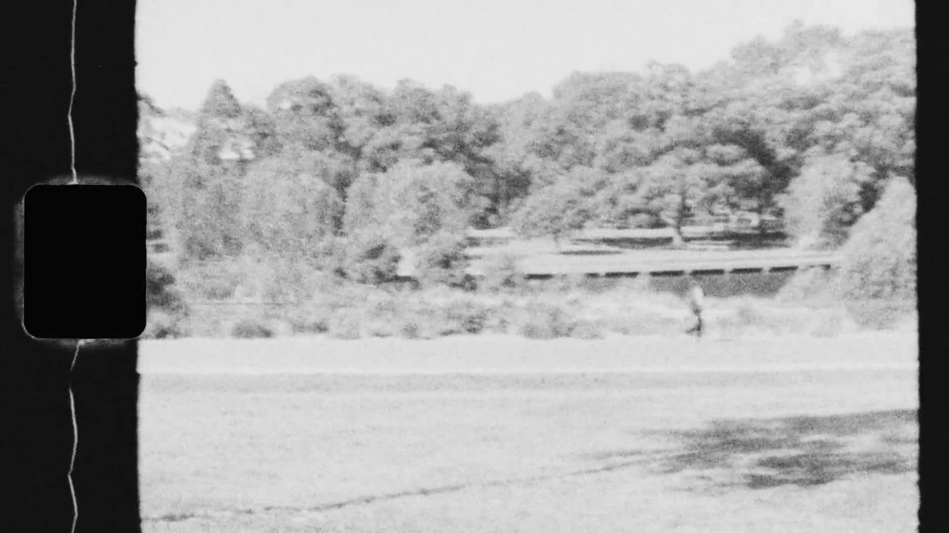 Film Stock Videos, Download The BEST Free 4k Stock Video Footage & Film ...