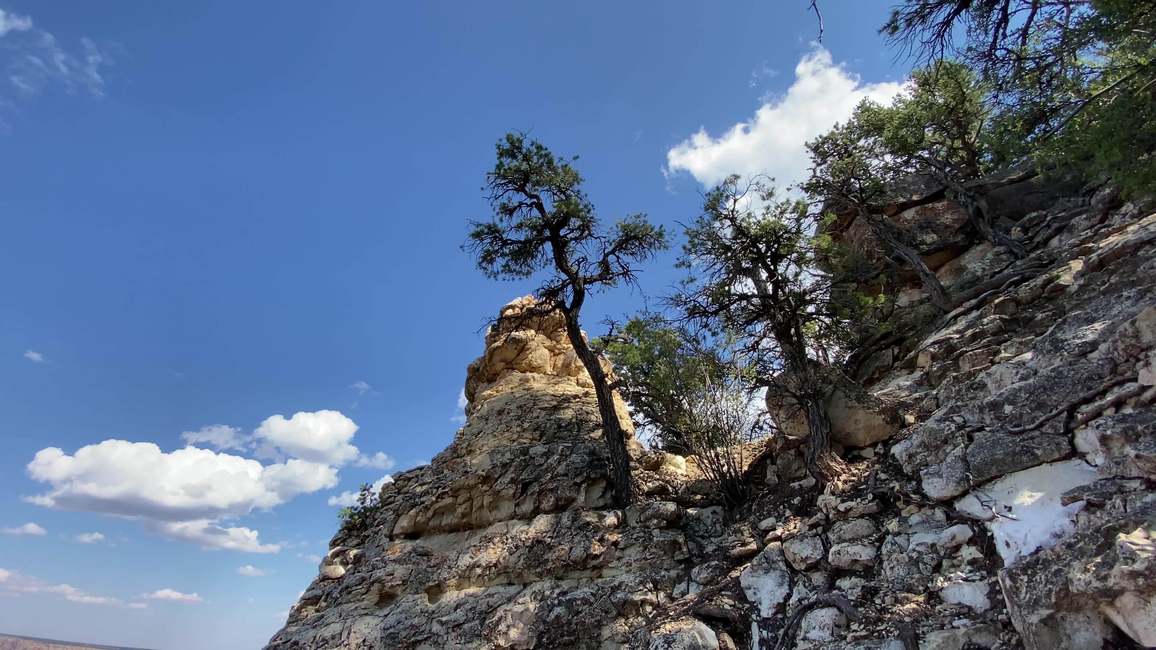 A rocky cliff with trees growing on it Free Stock Video Footage ...