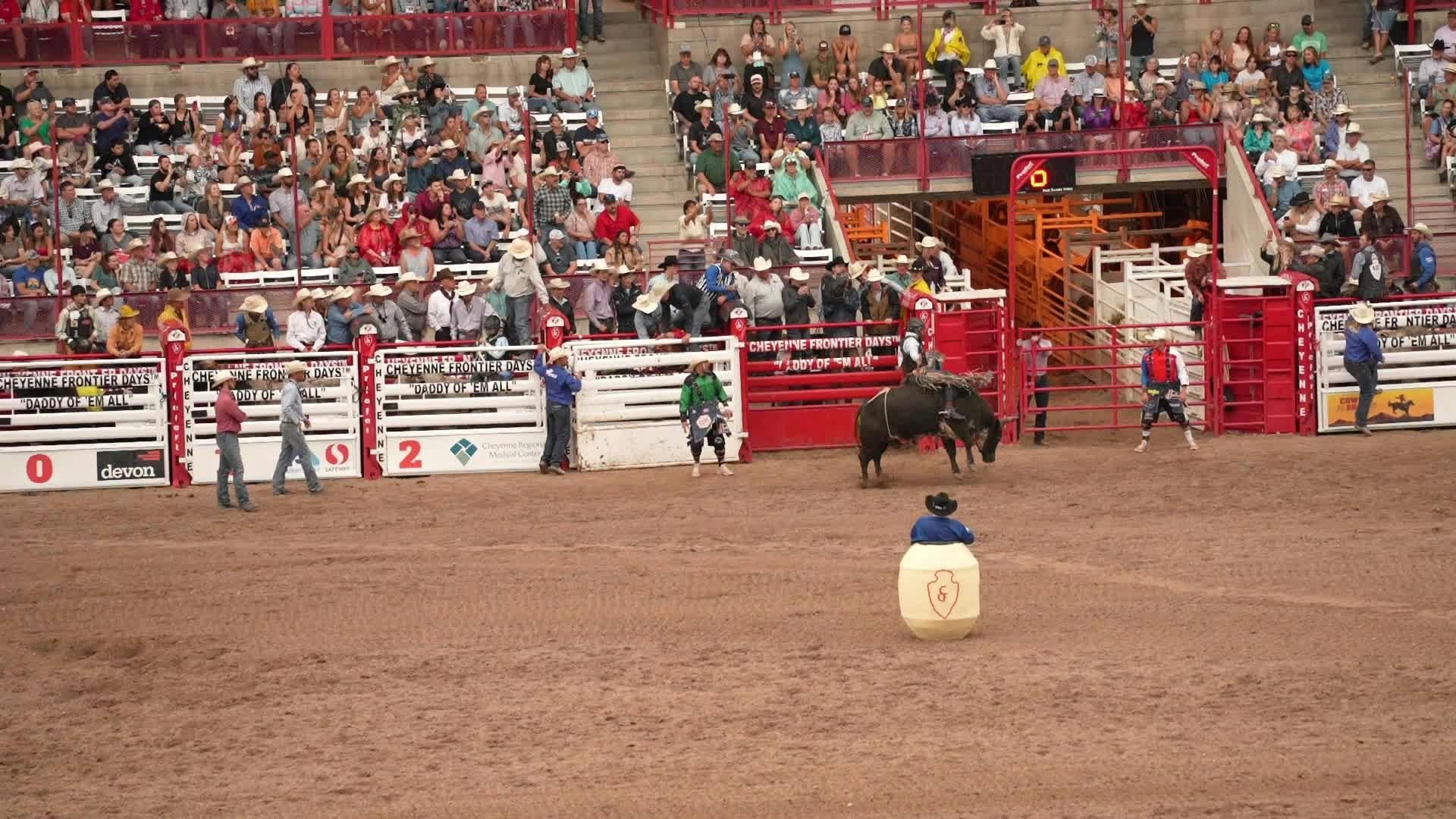 Winner Horse Videos, Download The BEST Free 4k Stock Video Footage ...