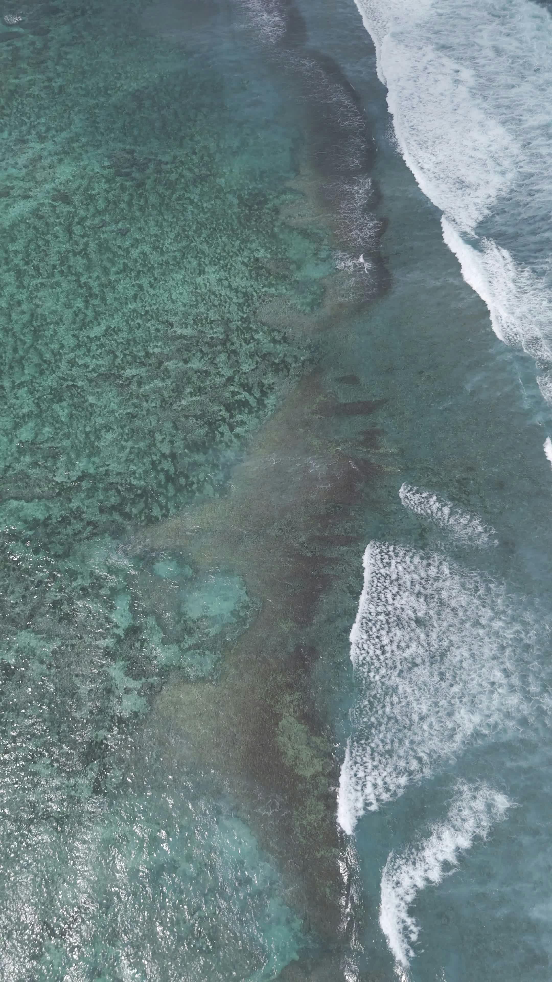 Sea Ids Videos, Download The BEST Free 4k Stock Video Footage & Sea Ids ...