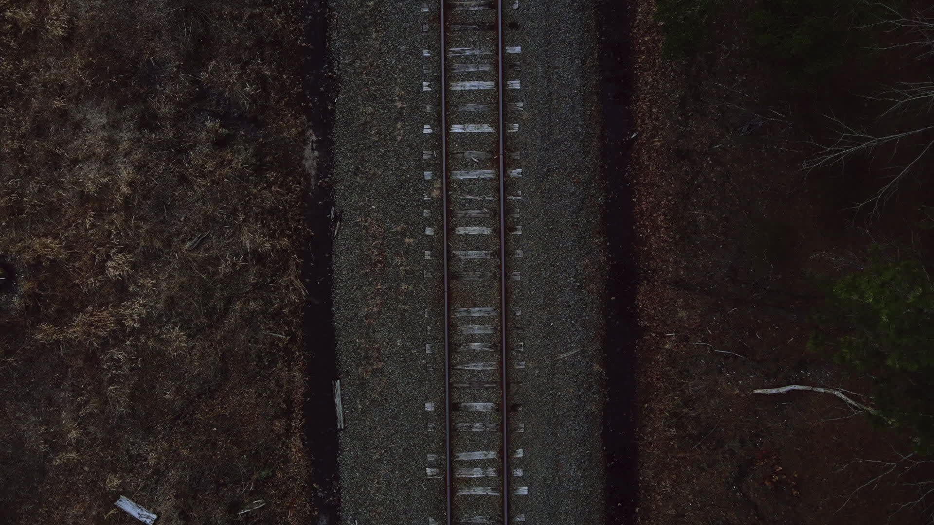 An aerial view of a train track in the woods Free Stock Video Footage ...