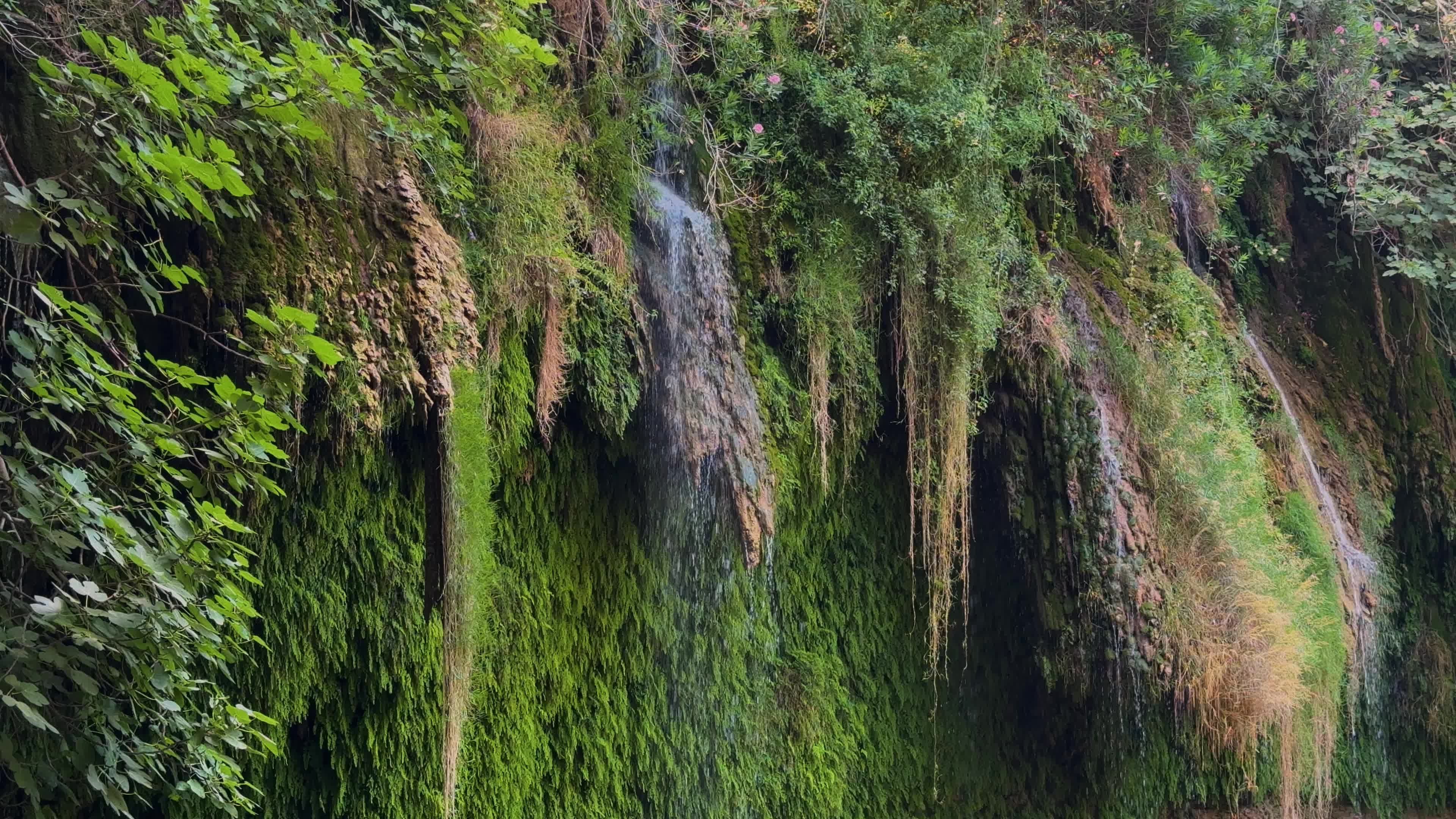 Stream Body Of Water Videos, Download The BEST Free 4k Stock Video ...