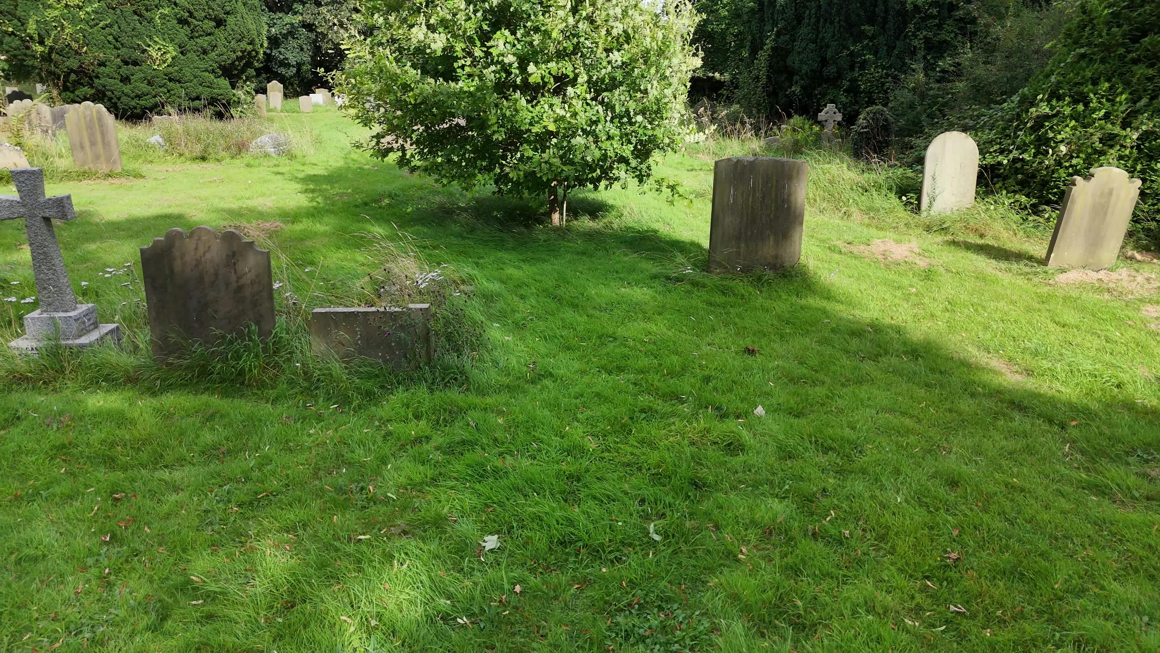 Grave Plot Videos, Download The BEST Free 4k Stock Video Footage ...