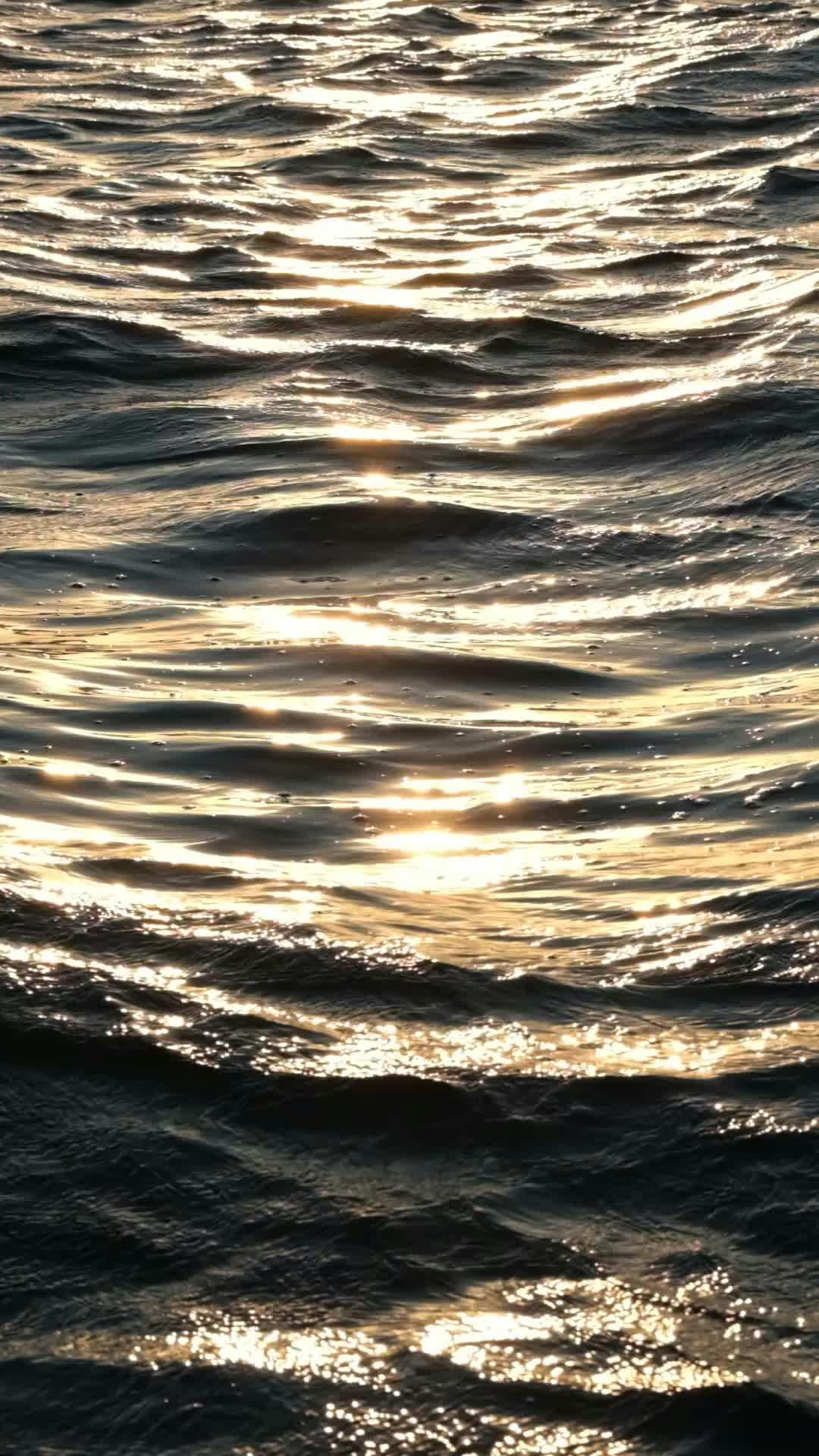 Reflections of Sunlight Free Stock Video Footage, Royalty-Free 4K & HD ...