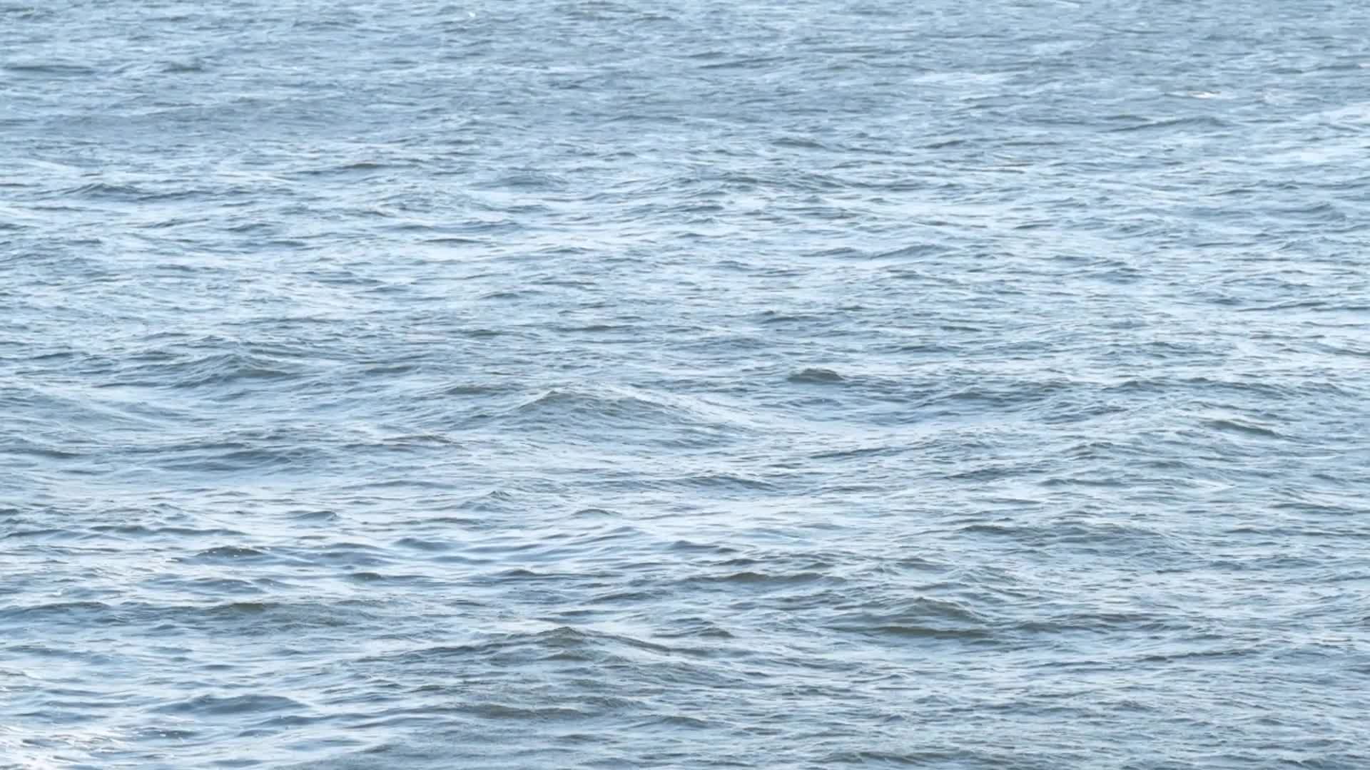 Calm Light Blue Water Surface with Gentle Waves Free Stock Video ...