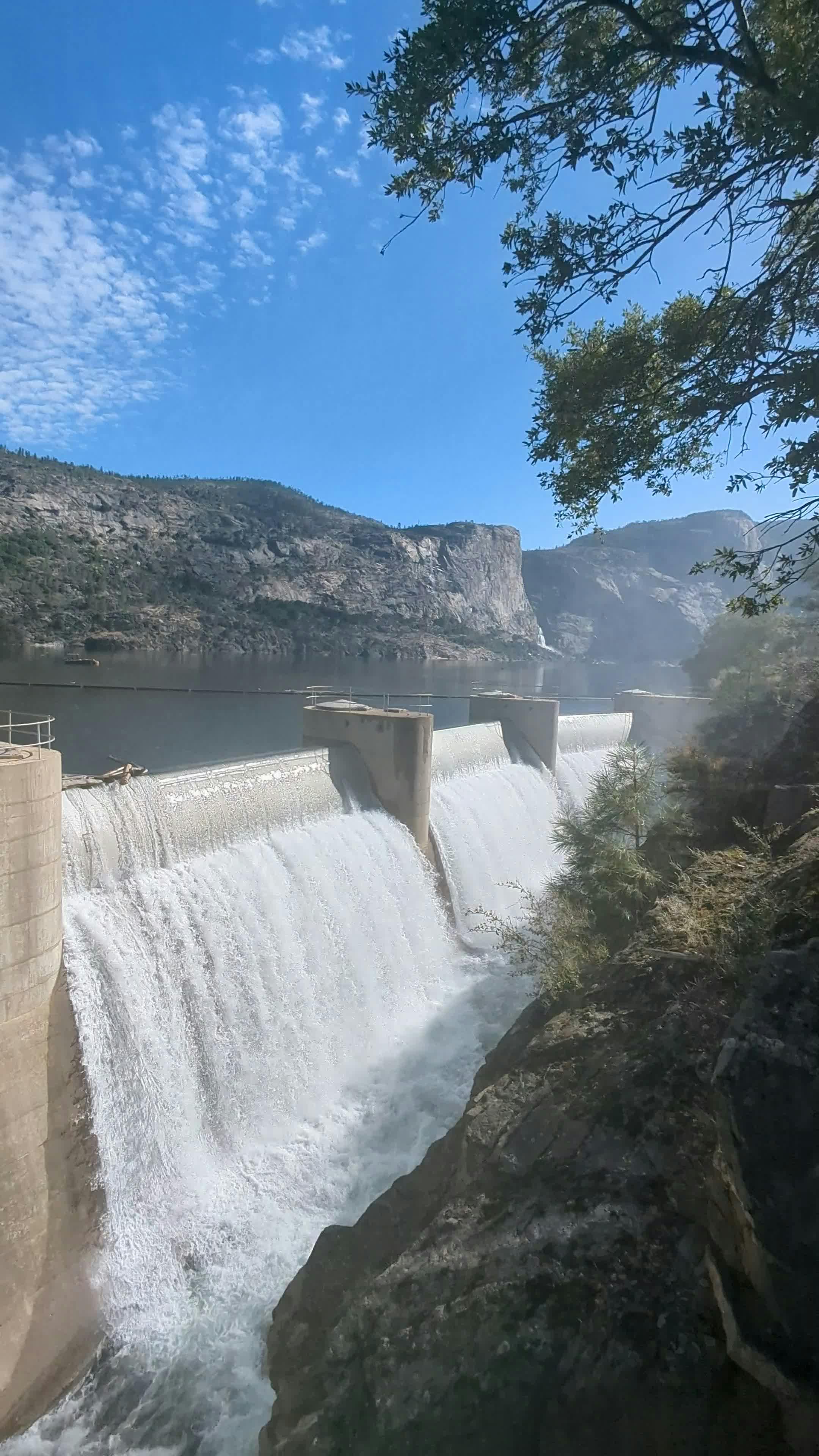 Hatch Hatchy Free Stock Video Footage, Royalty-Free 4K & HD Video Clip