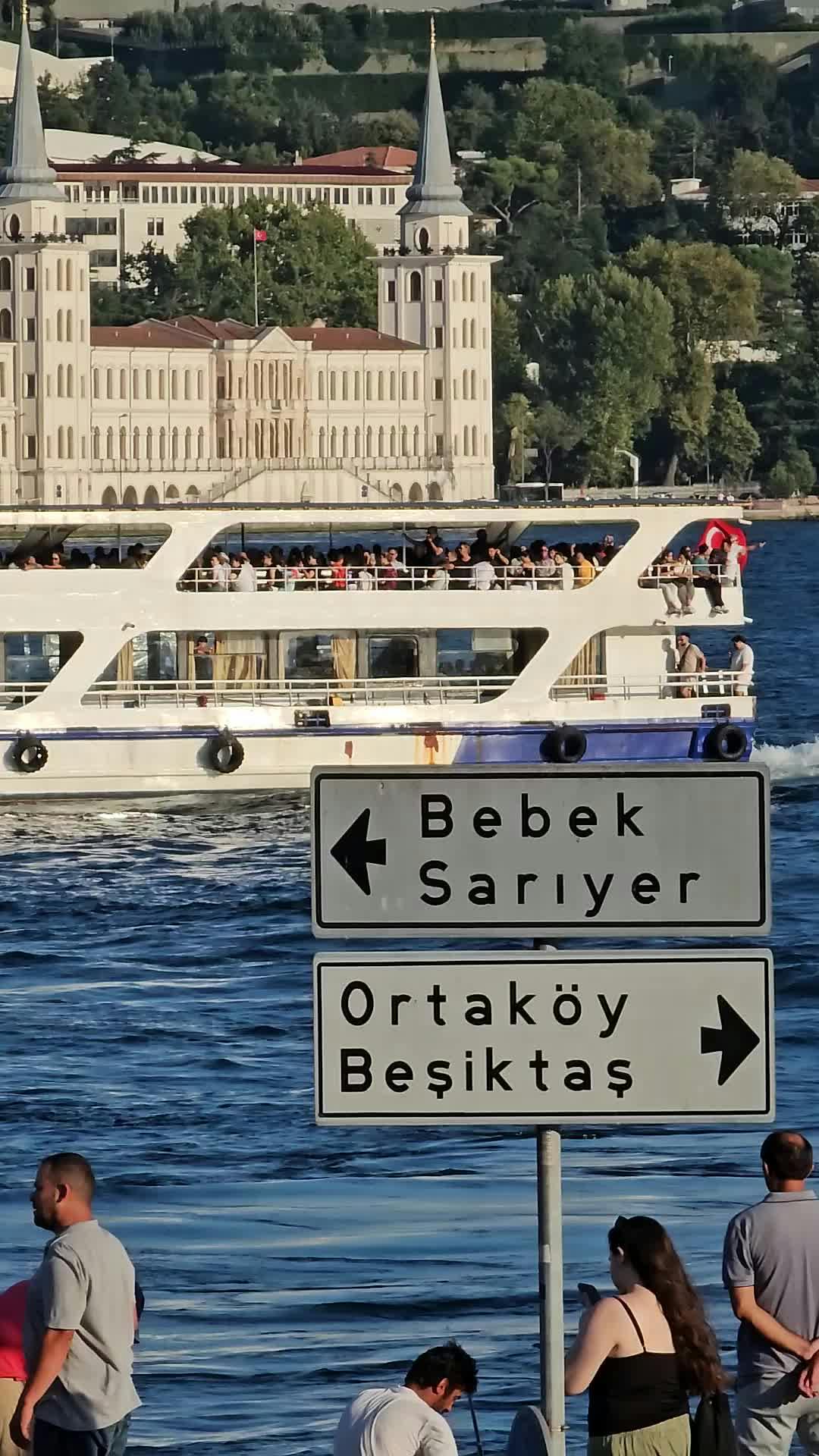 Bebek Bebek Masaüstü Duvar Kağıdı Videos, Download The BEST Free 4k Stock Video Footage & Bebek ...