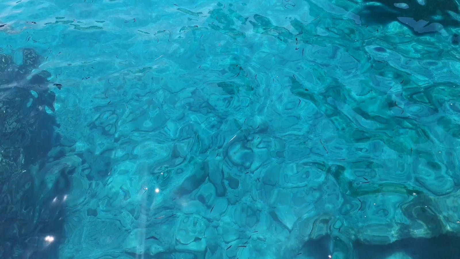 Pool Videos, Download The BEST Free 4k Stock Video Footage & Pool HD ...