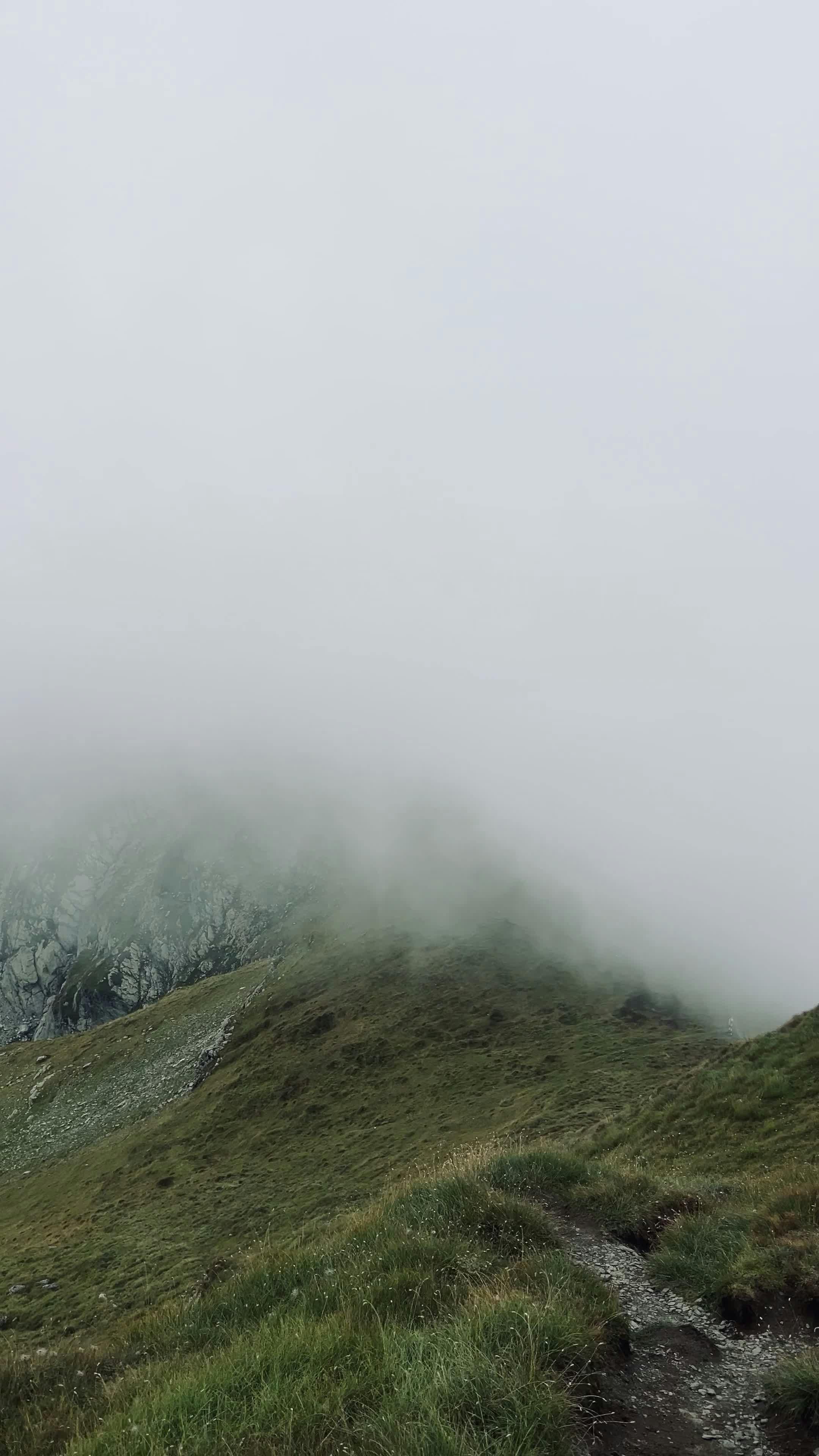 Zelch Csaba - Photographie