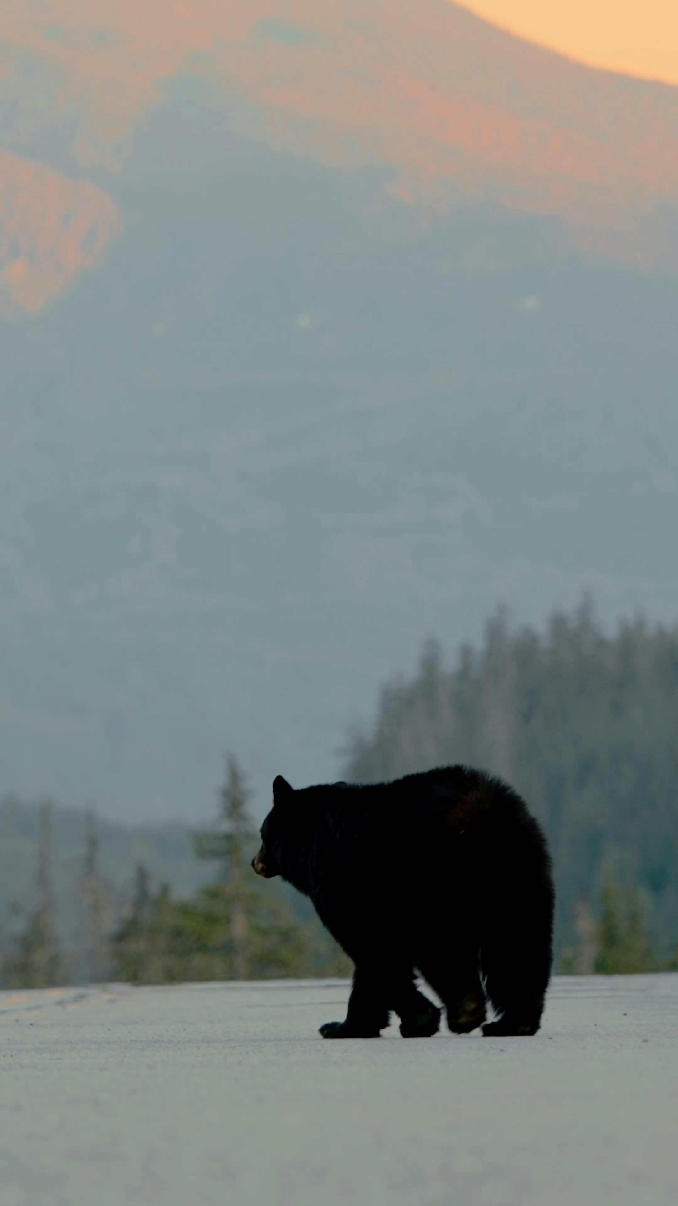 Yellowstone Videos, Download The BEST Free 4k Stock Video Footage ...