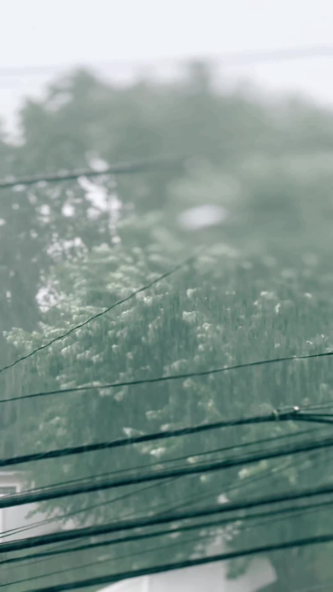 A view of a street with trees and power lines Free Stock Video Footage ...