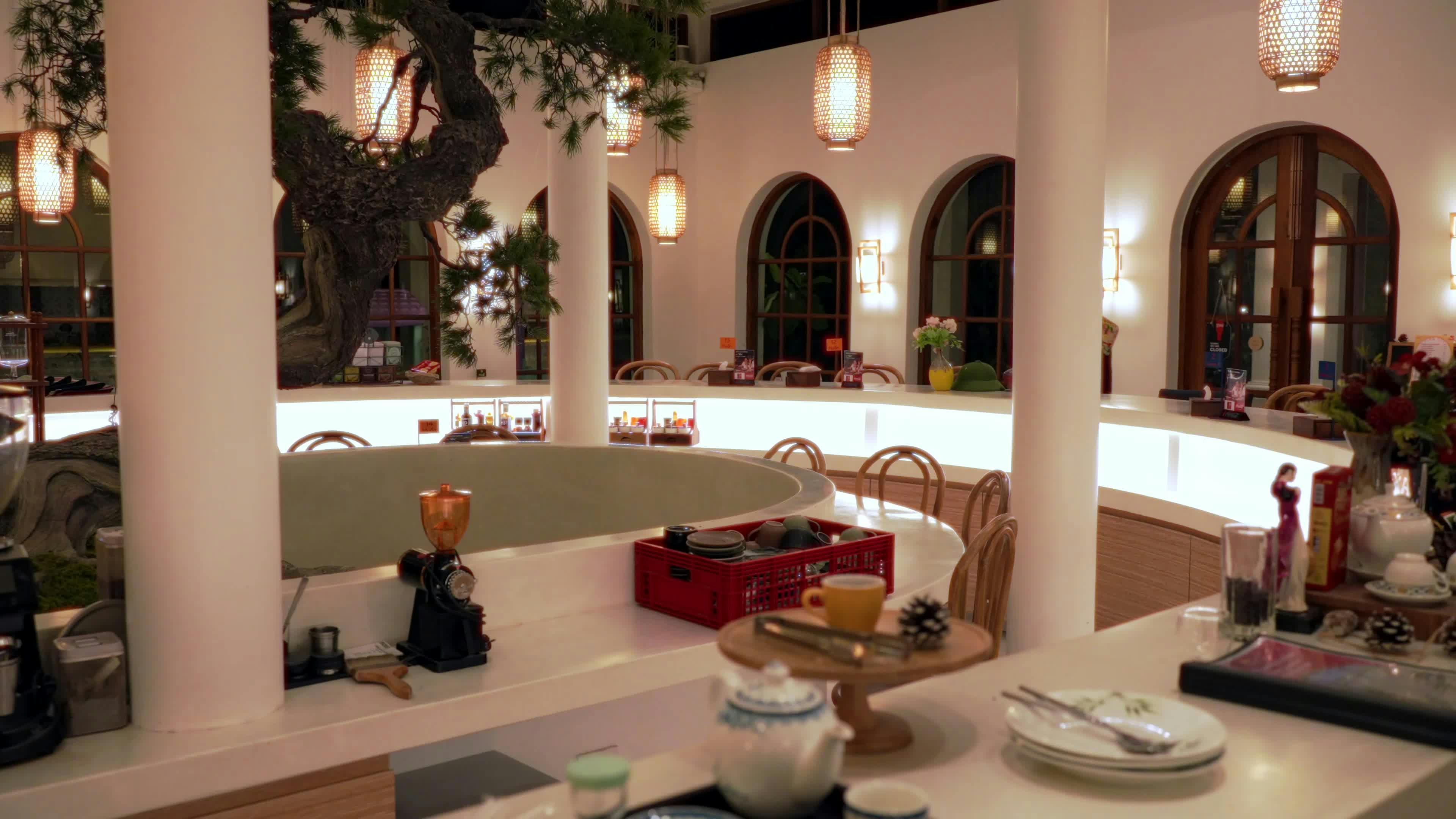 A restaurant with a large dining area and a large tree Free Stock Video ...