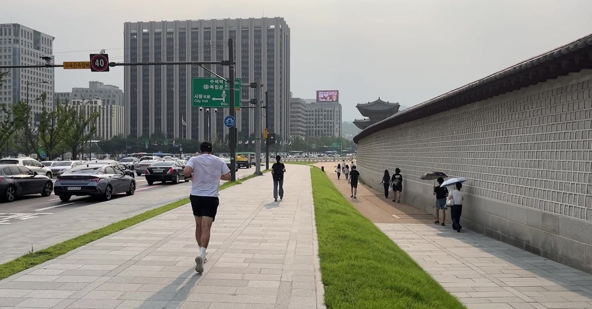 거리 건물 건축 경복궁 고층 건물 공원 관광 명소 관광객 광화문 교차로 교통 다리 달리는 대한민국 도로