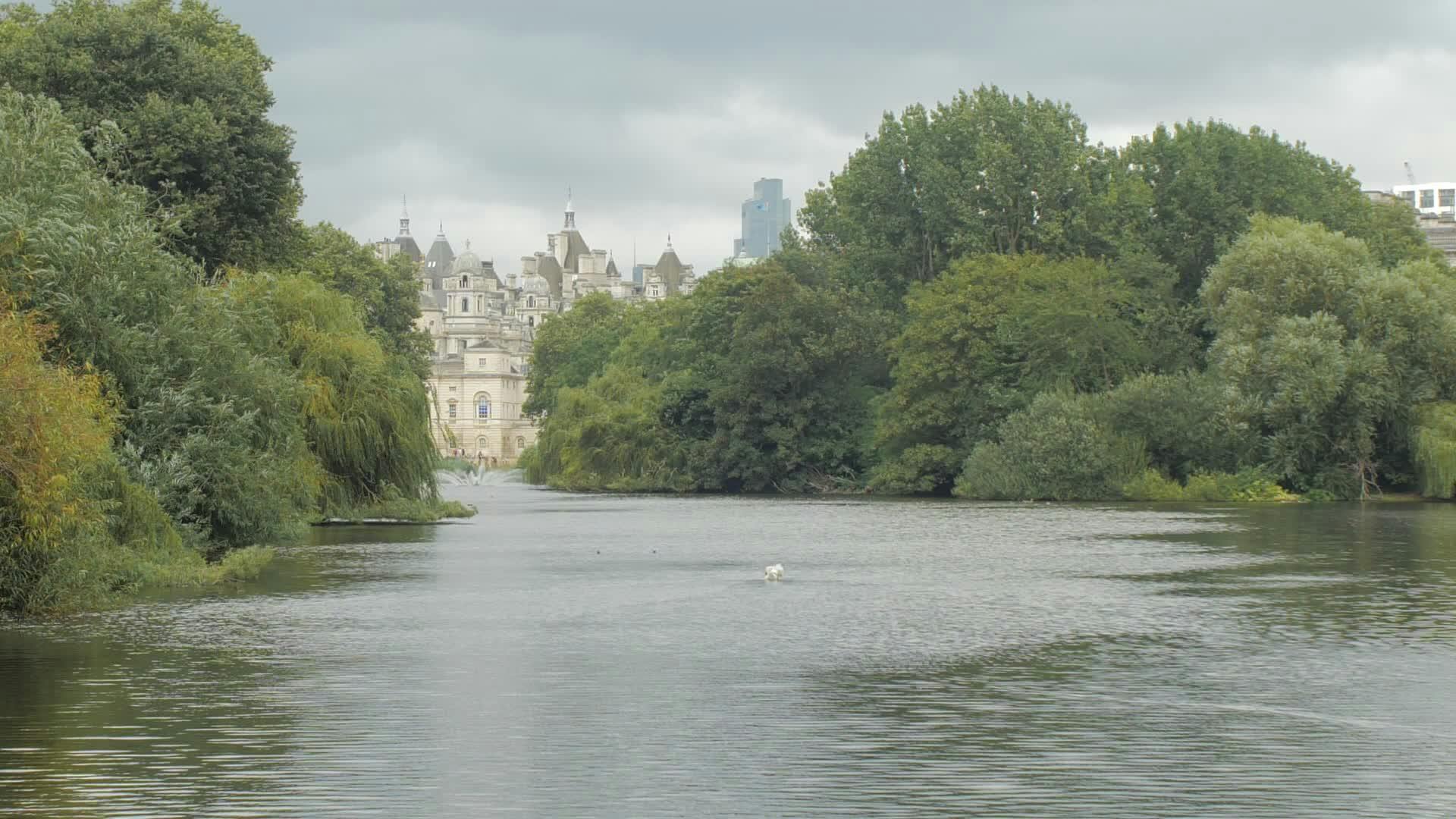 Anytime Videos, Download The BEST Free 4k Stock Video Footage & Anytime ...