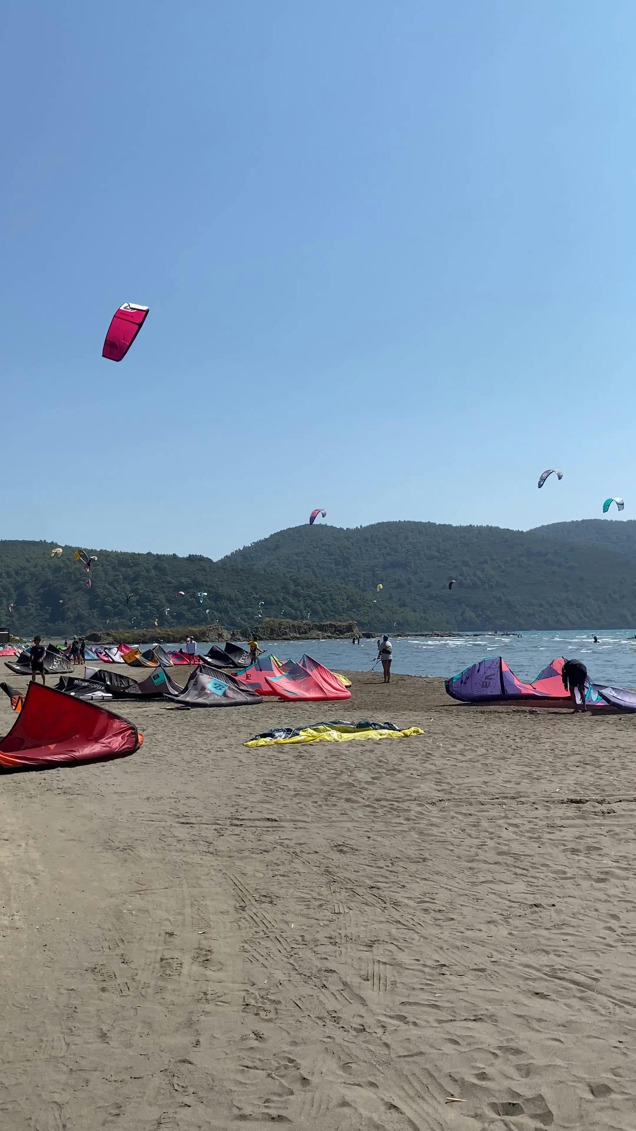 Port Wallpaper Videos, Download The BEST Free 4k Stock Video Footage ...