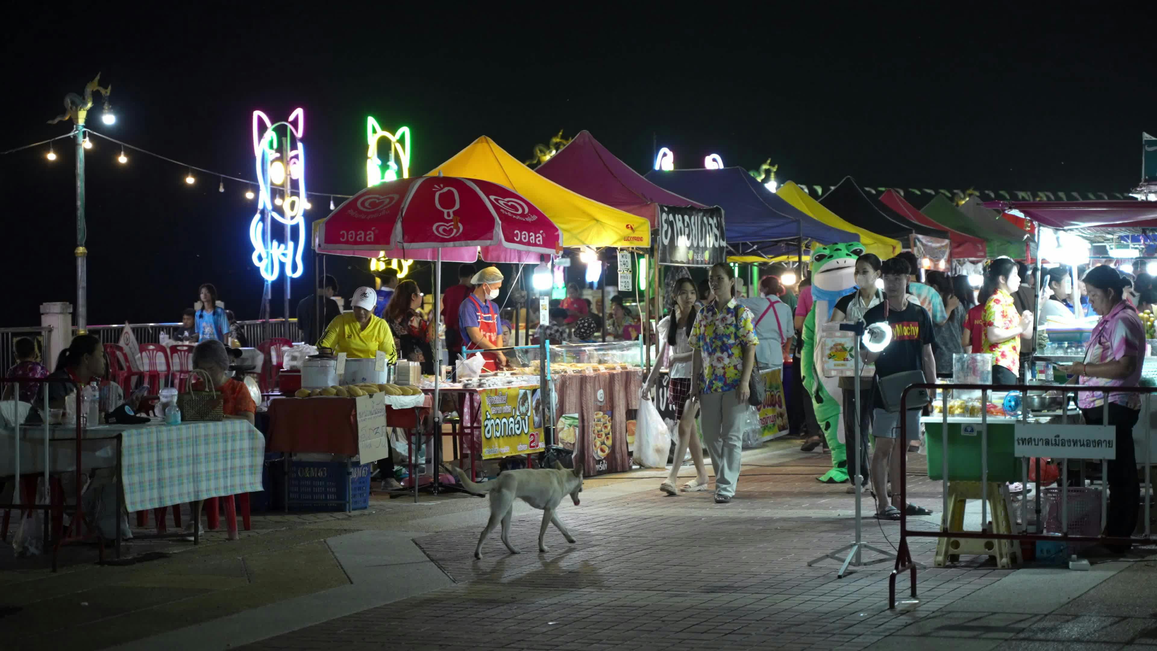 Stall Music Videos, Download The BEST Free 4k Stock Video Footage ...