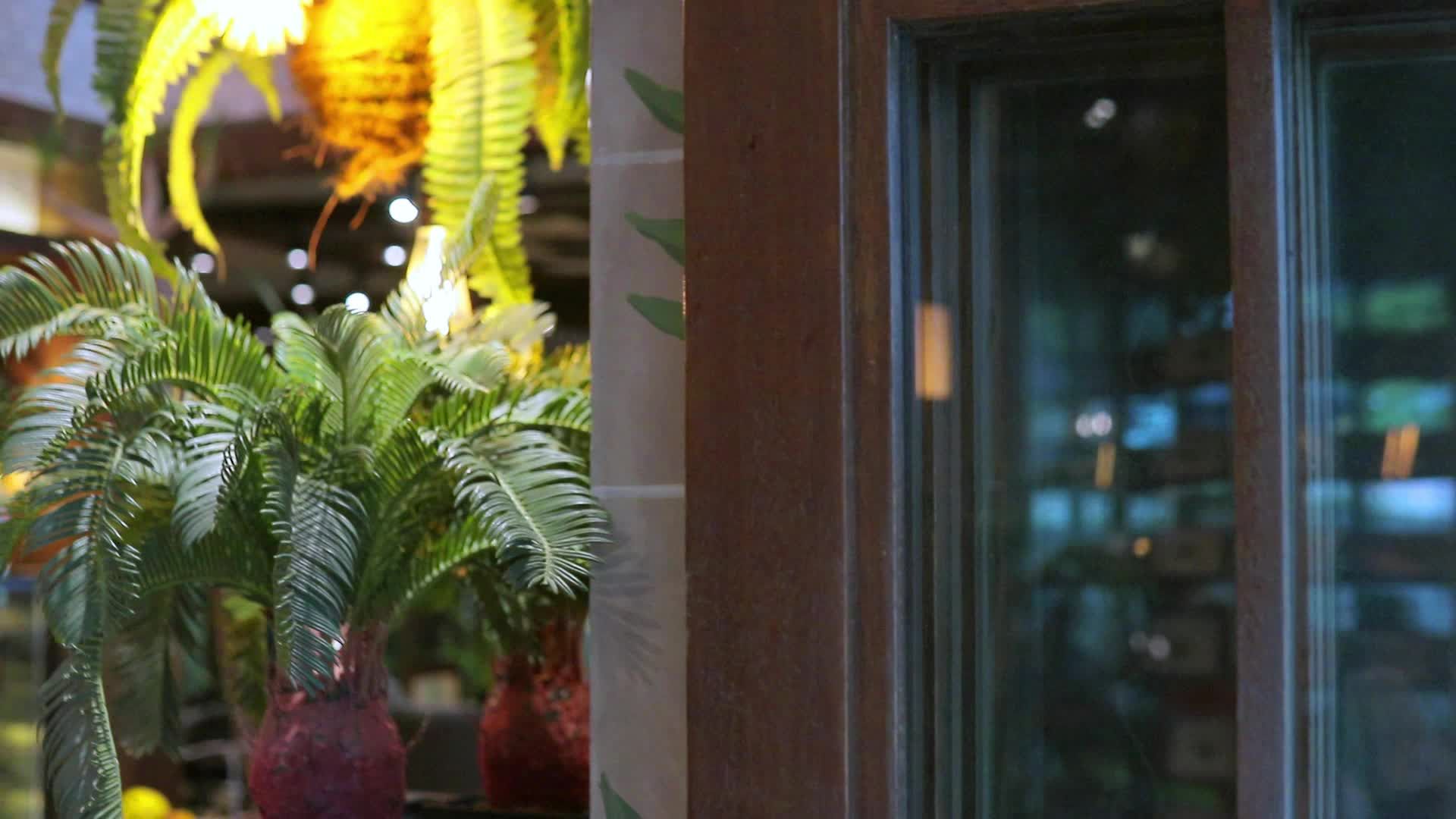 A restaurant with a large tree in the middle Free Stock Video Footage ...