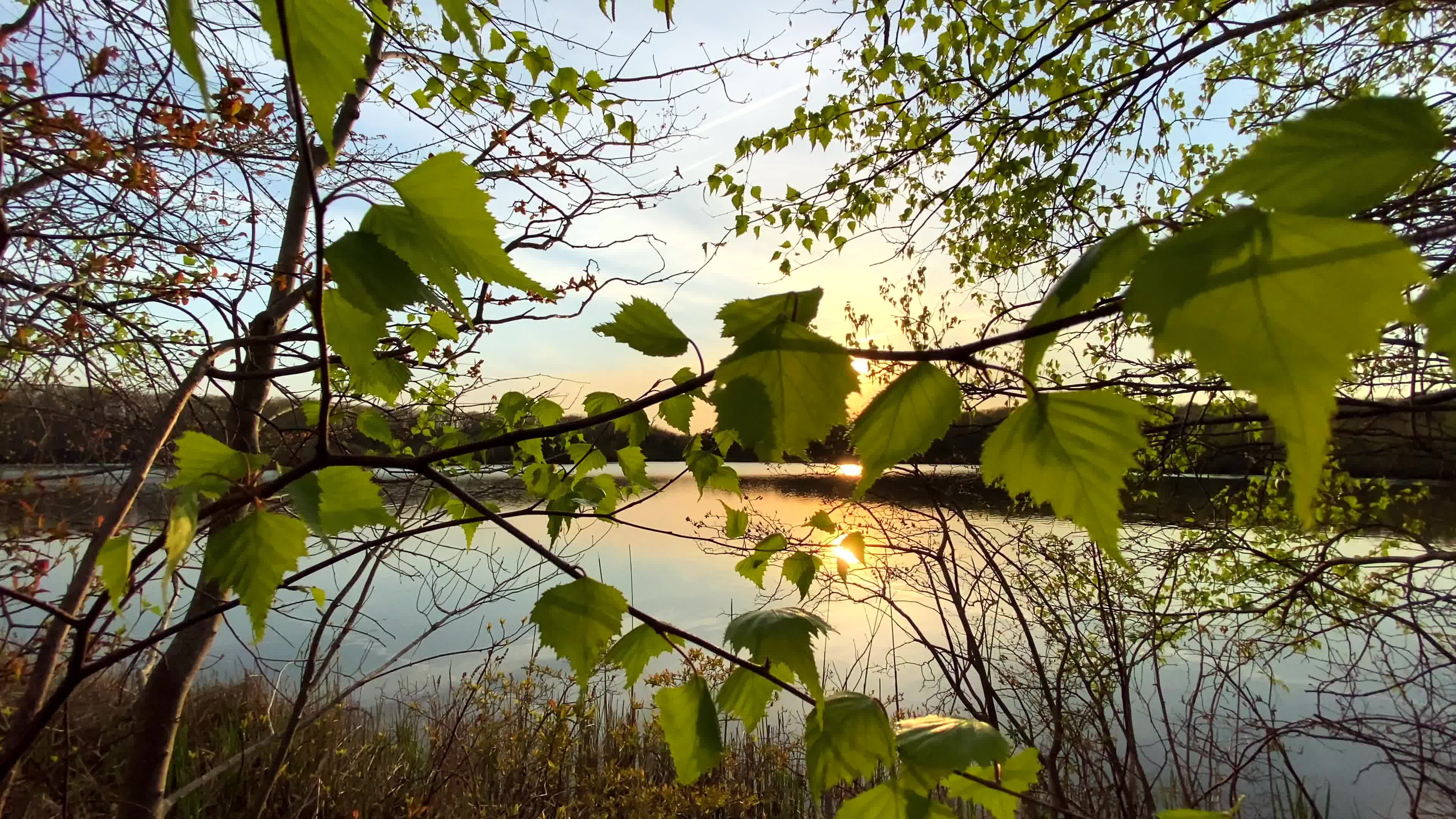 Levee Instellen Videos, Download The BEST Free 4k Stock Video Footage ...