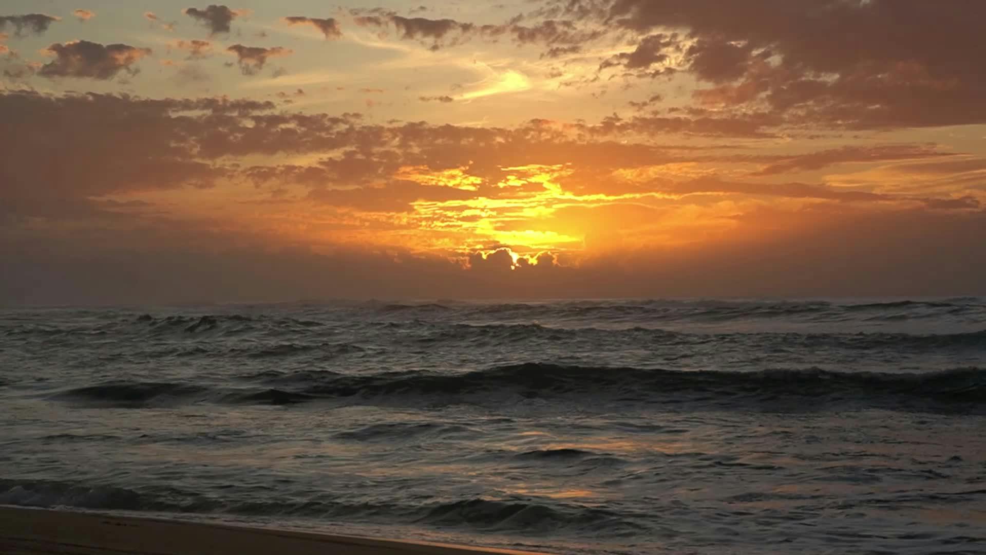 Sunchine Videos, Download The BEST Free 4k Stock Video Footage ...