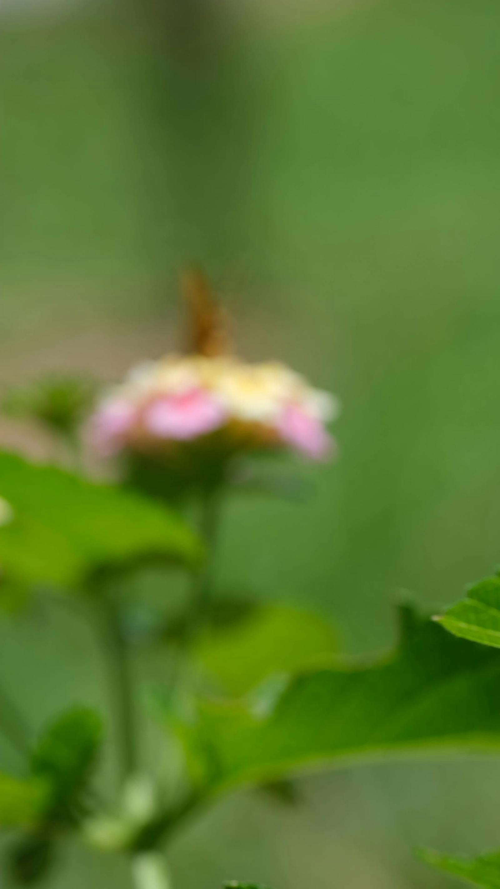 9 16 Videos, Download The BEST Free 4k Stock Video Footage & 9 16 HD ...