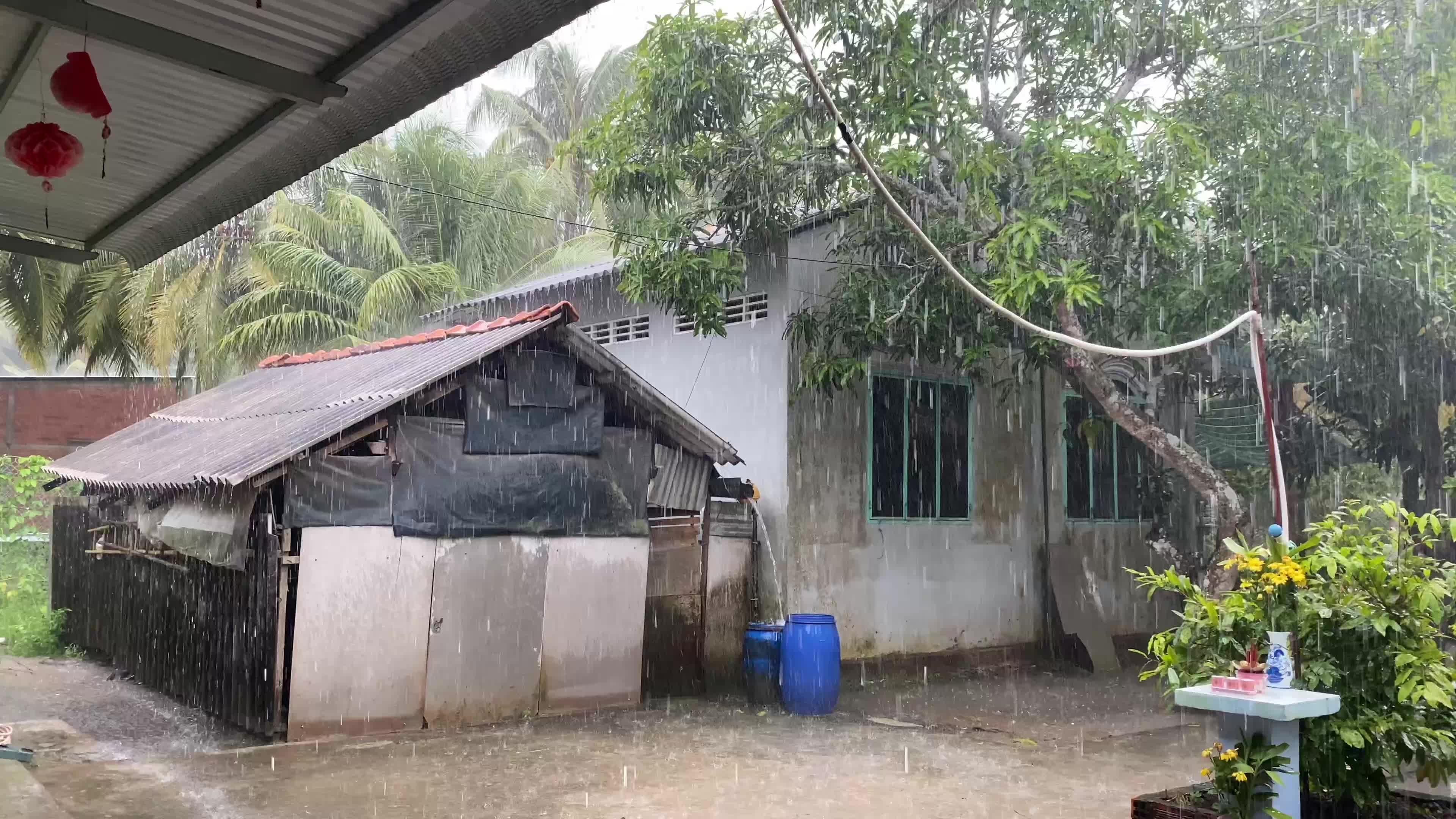 rain Free Stock Video Footage, Royalty-Free 4K & HD Video Clip