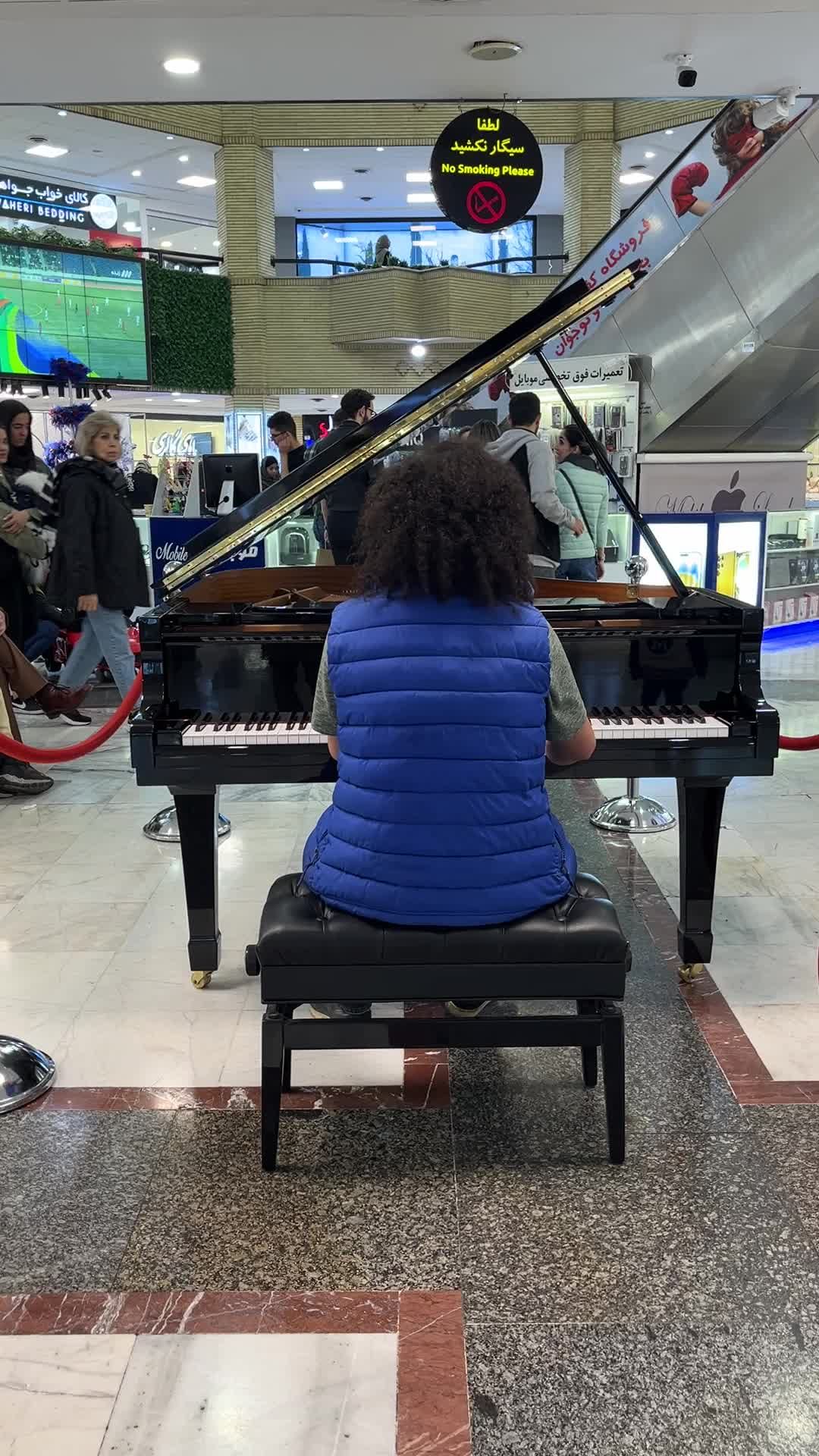pianist Free Stock Video Footage, Royalty-Free 4K & HD Video Clip