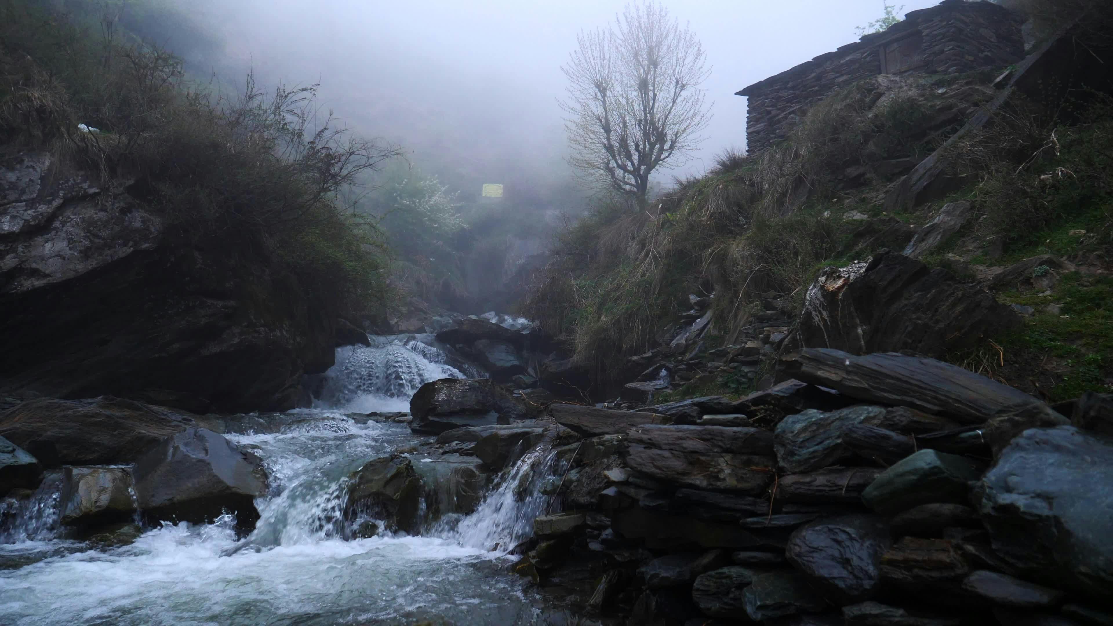 Himalayan Spring Free Stock Video Footage, Royalty-Free 4K & HD Video Clip