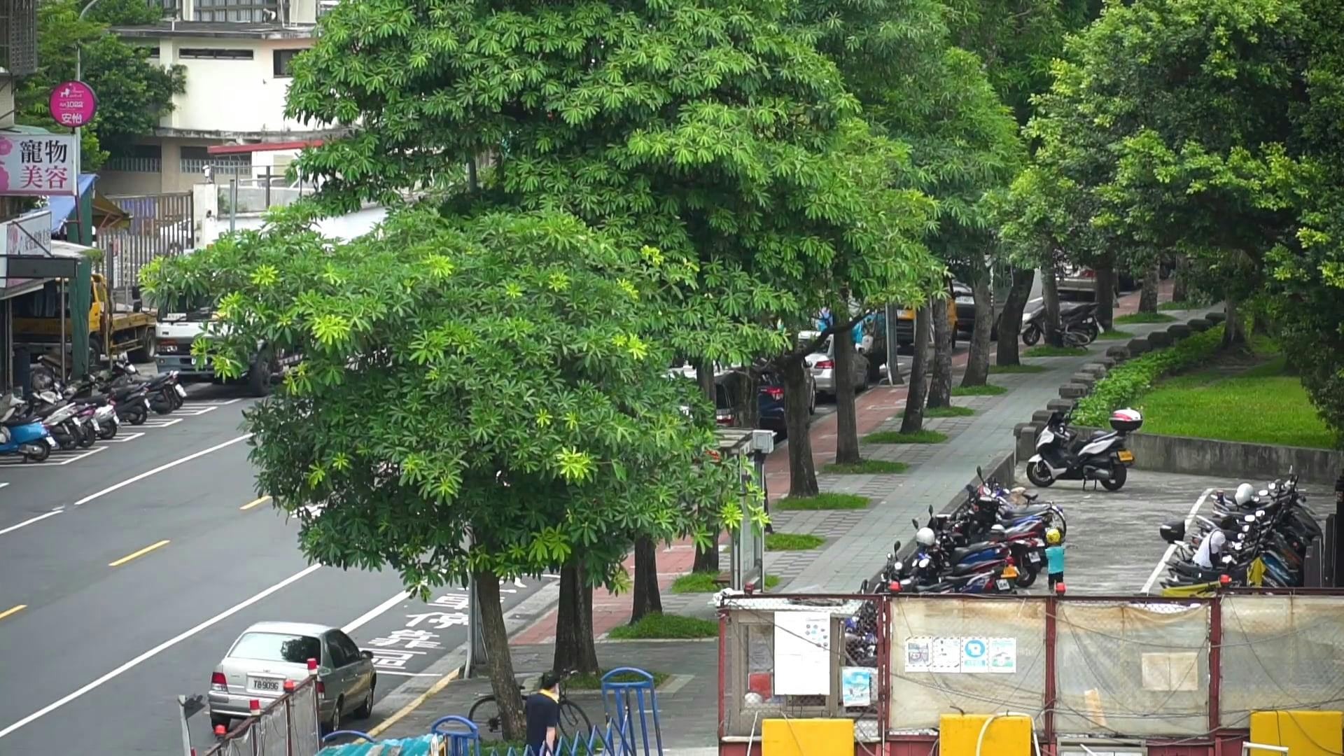 People And Motor Vehicles Movement In A Busy Street Free Stock Video ...