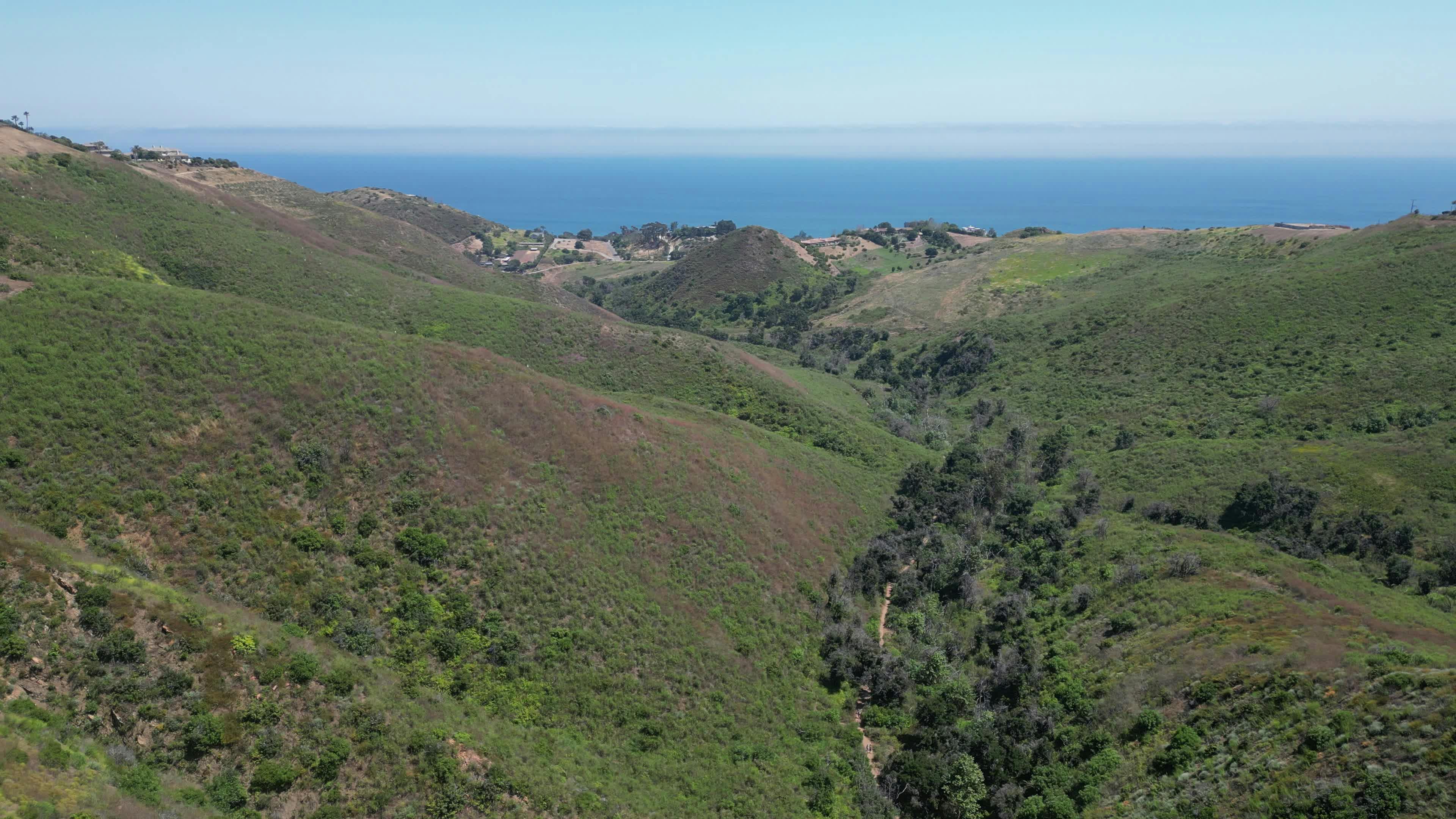 Malibu Tree Videos, Download The BEST Free 4k Stock Video Footage ...