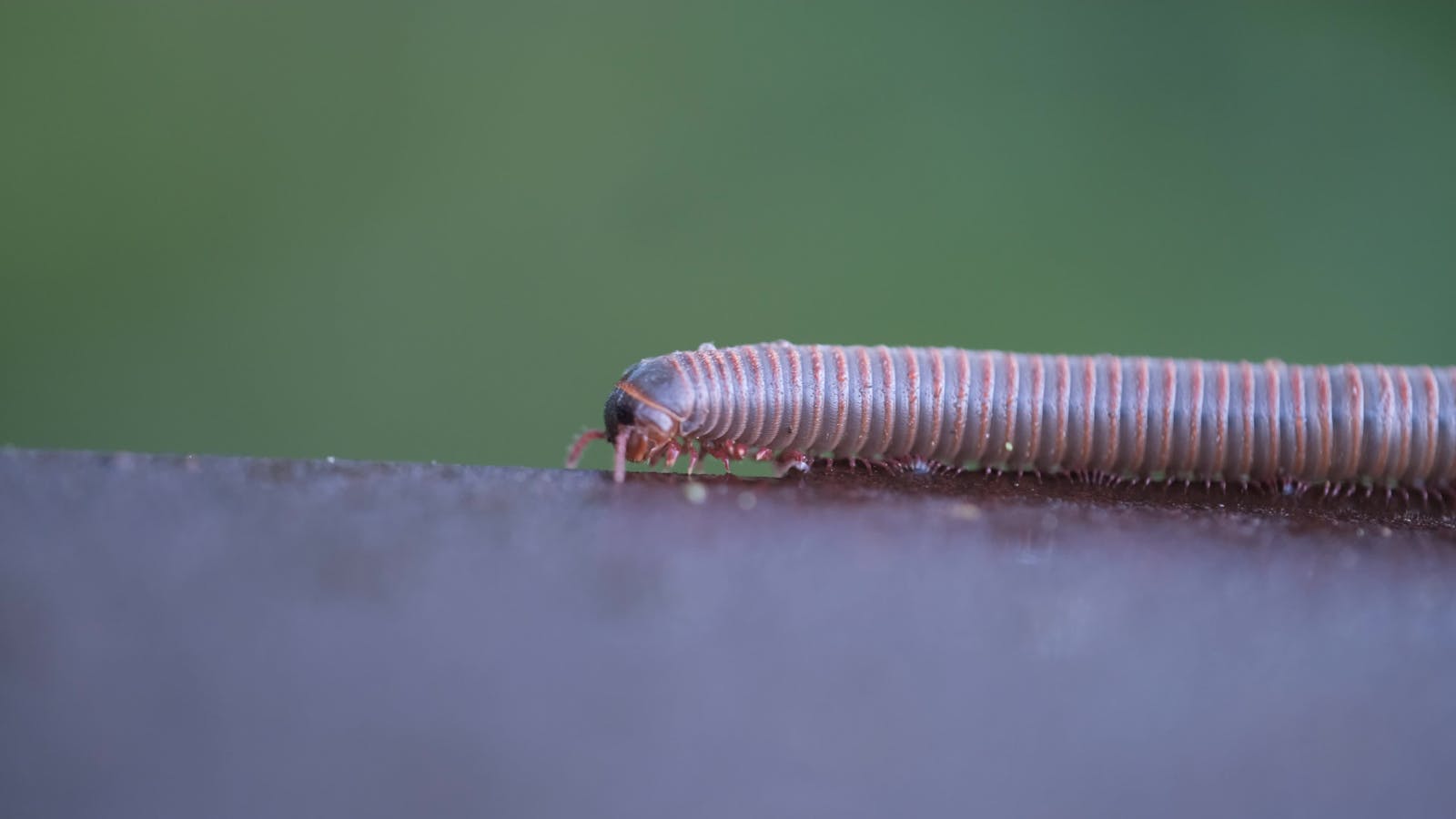 9 16 Nature Videos, Download The BEST Free 4k Stock Video Footage & 9 ...