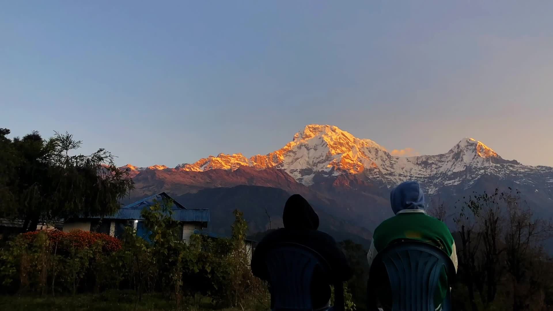 Beauty Of Ilam Nepal Videos, Download The BEST Free 4k Stock Video ...
