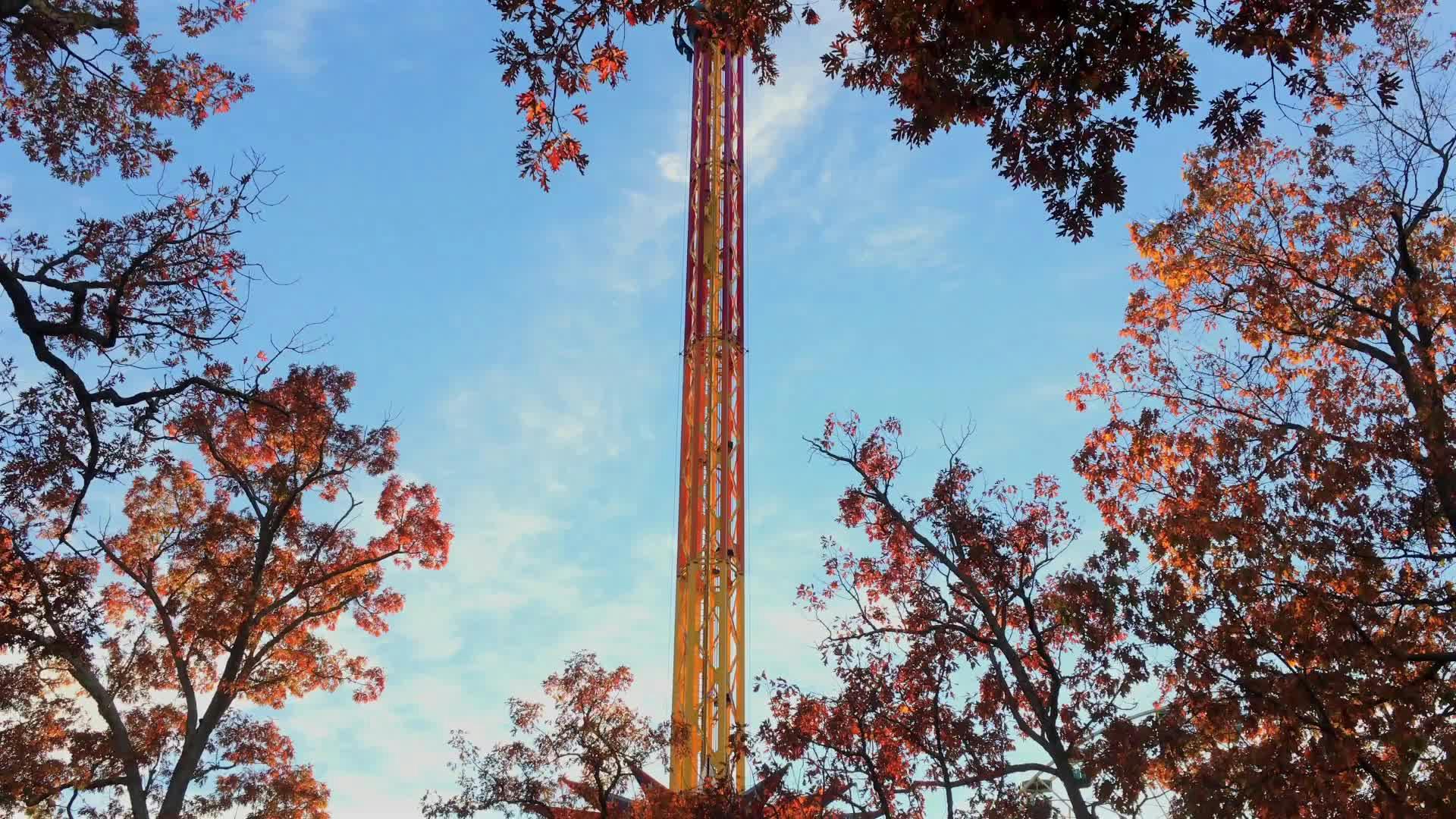 Rides Tree Videos, Download The BEST Free 4k Stock Video Footage ...