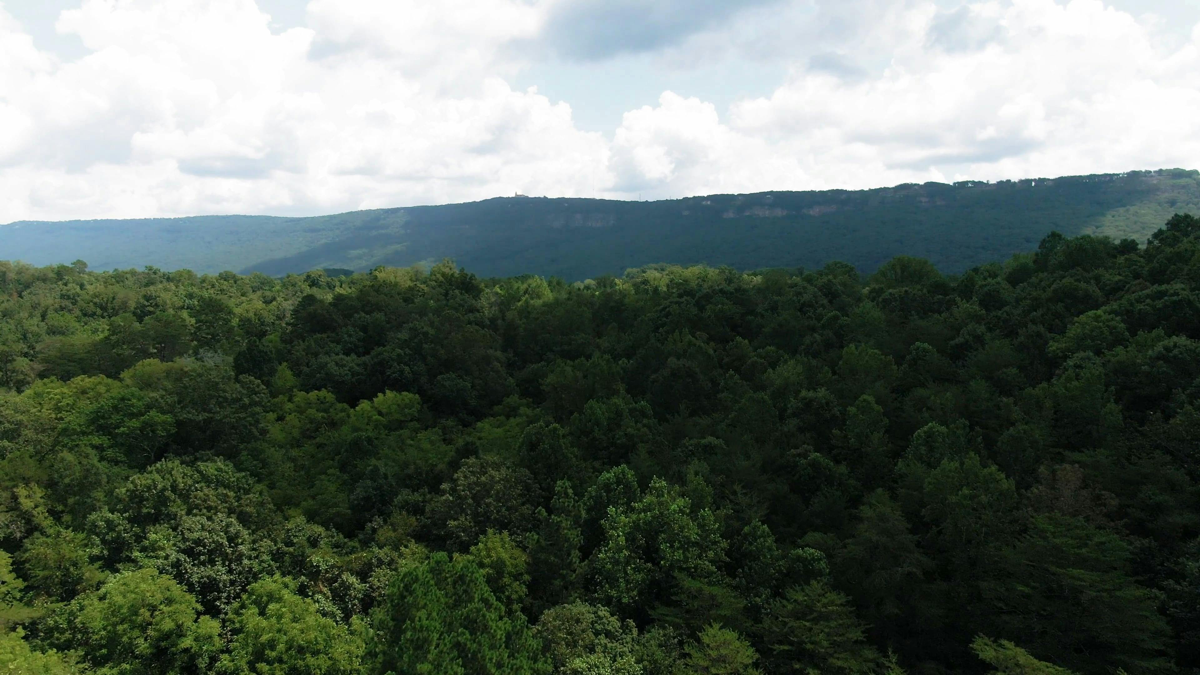 Drone Footage Of A Mountain Forest Free Stock Video Footage, Royalty ...