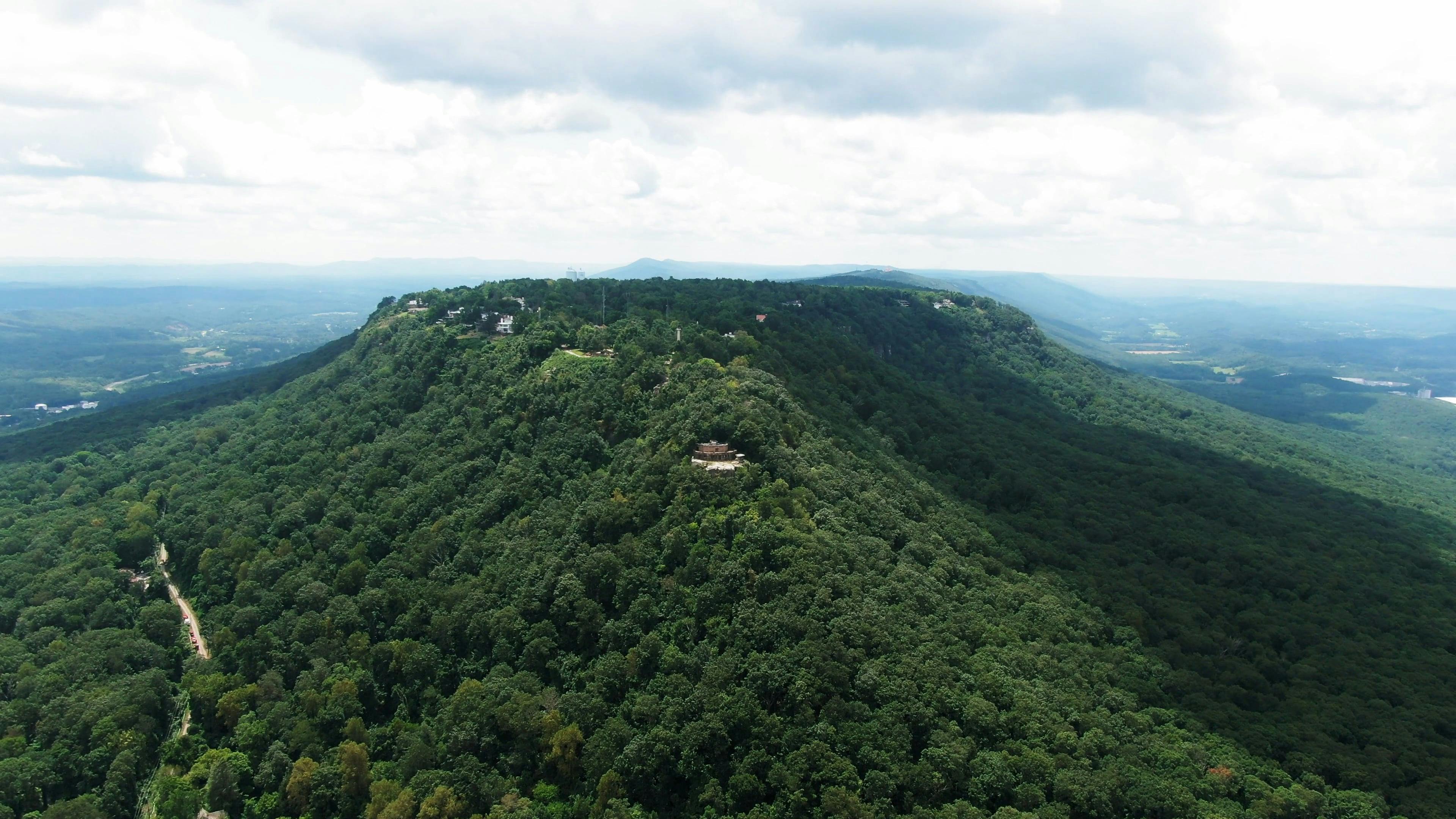 Terrestrial Ecosystem Videos, Download The BEST Free 4k Stock Video ...