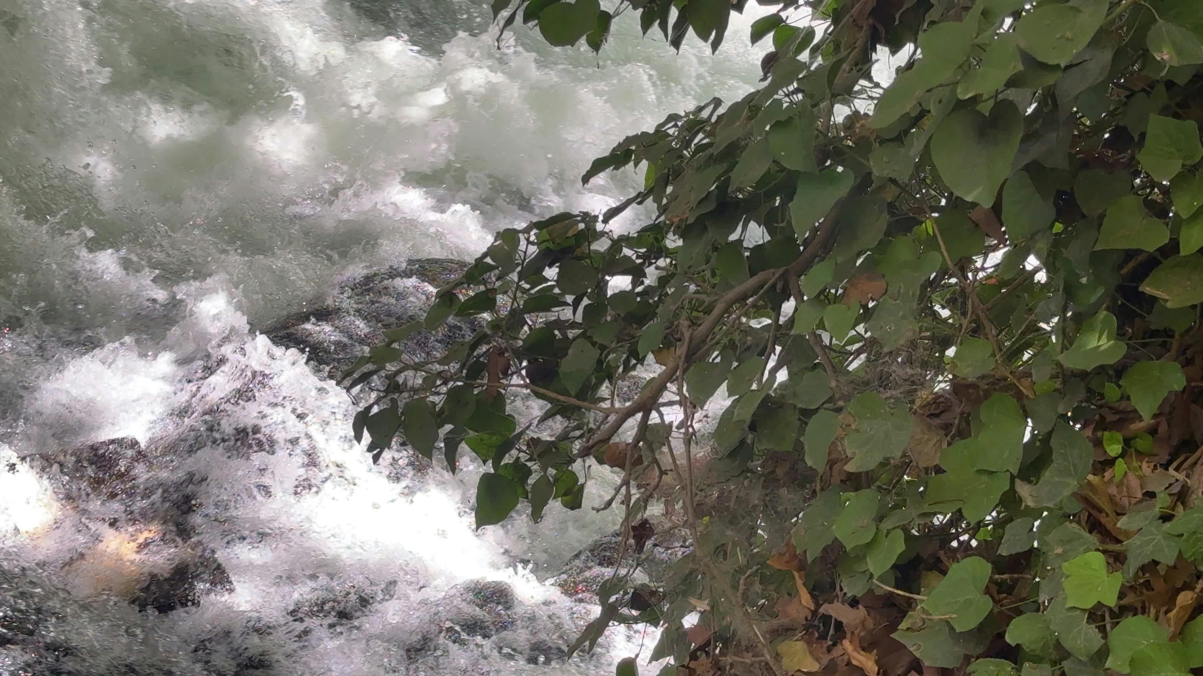 Plethora Videos, Download The BEST Free 4k Stock Video Footage ...