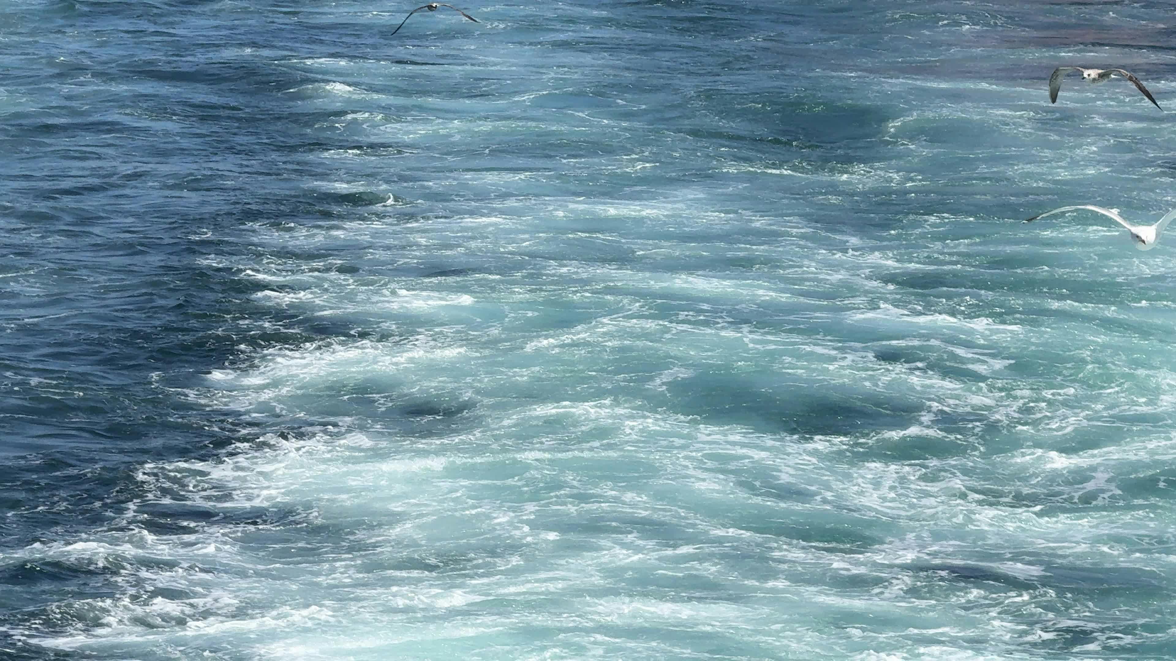 Non Scripted Videos, Download The BEST Free 4k Stock Video Footage & Non Scripted HD Video Clips