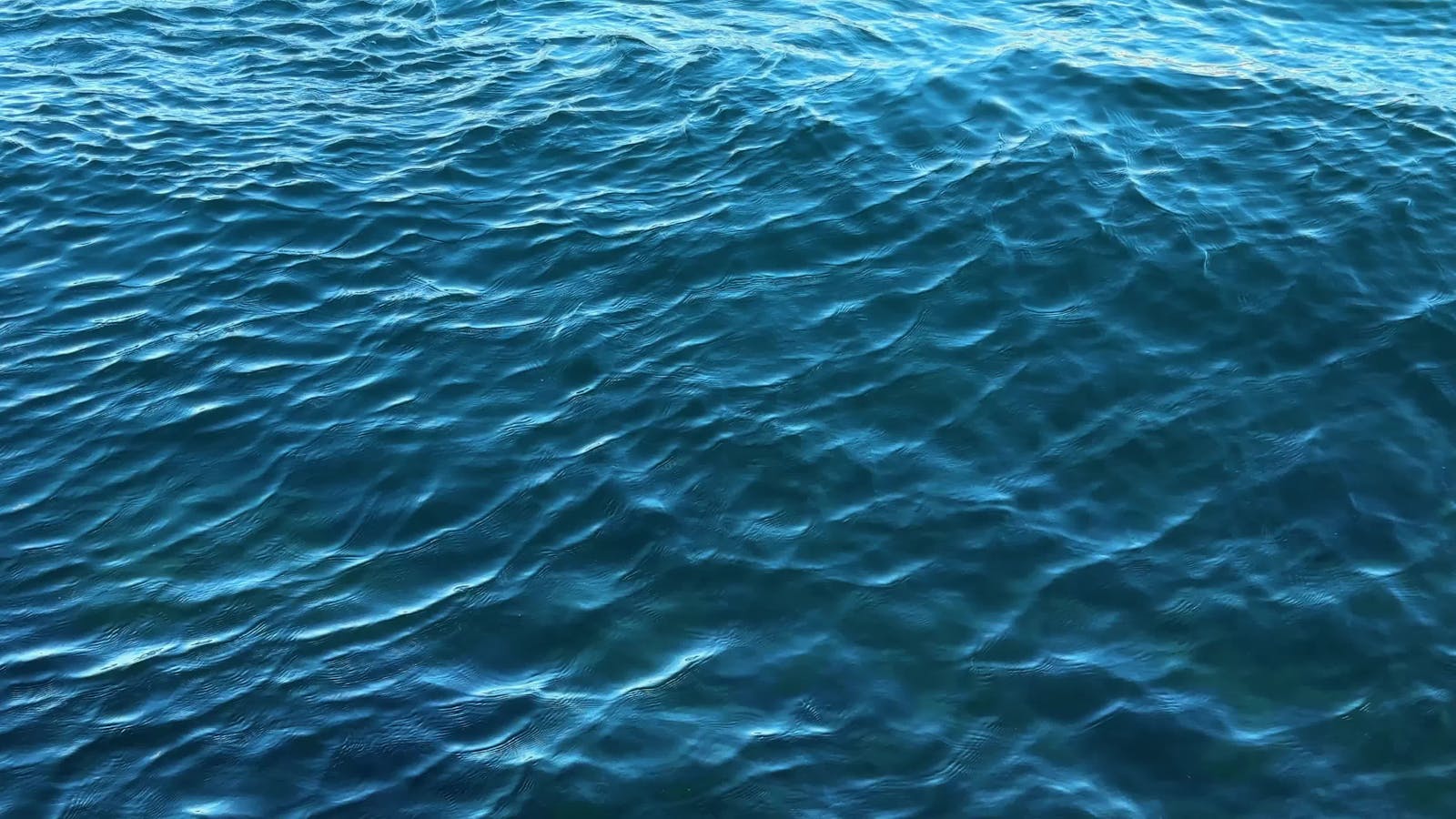 Motion Backgrounds Videos, Download The BEST Free 4k Stock Video ...