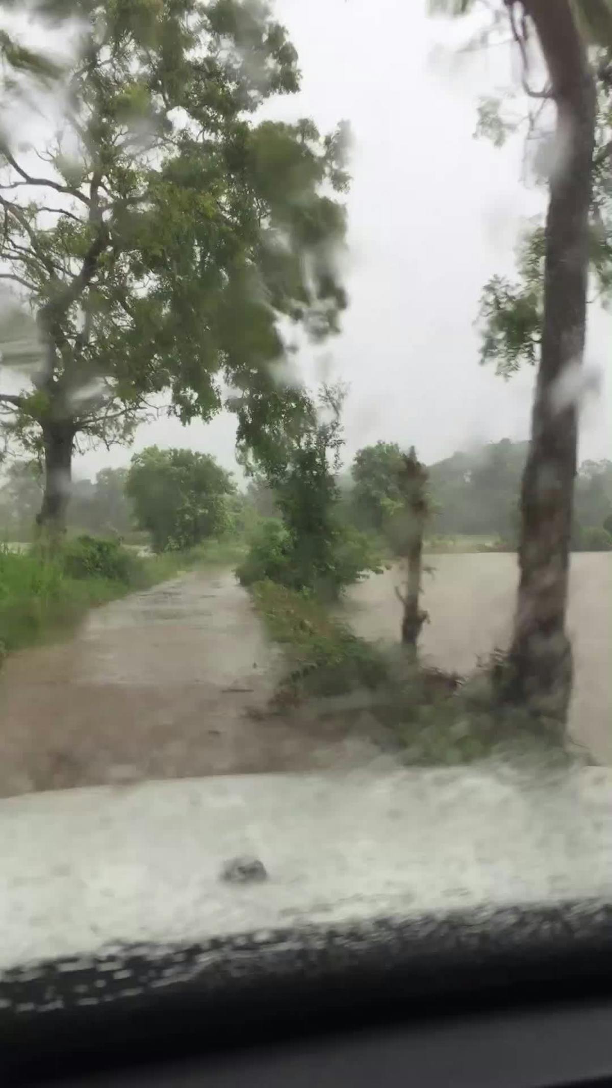 有关下雨天 倾盆大雨 傾盆大雨 多叶 多雲的 天性 天氣 季節 安靜 寧靜 小徑 戶外 景觀 暴風雨 有機 林地