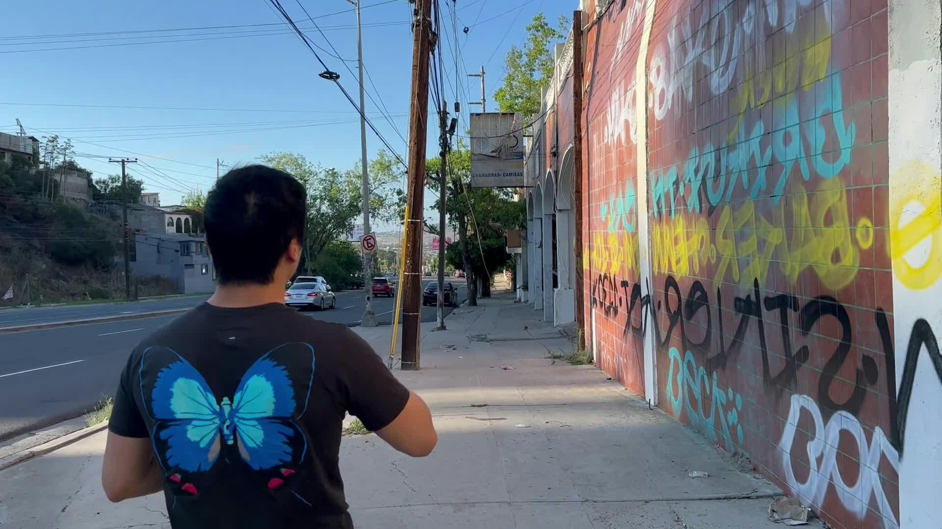 Public Domain Butterflies Videos, Download The BEST Free 4k Stock Video ...