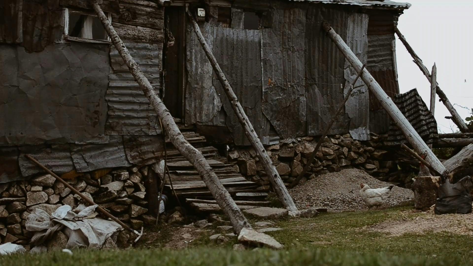 Timber Farm Videos, Download The BEST Free 4k Stock Video Footage ...