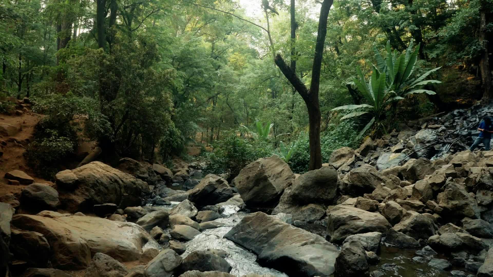 Turistas Videos, Download The BEST Free 4k Stock Video Footage ...