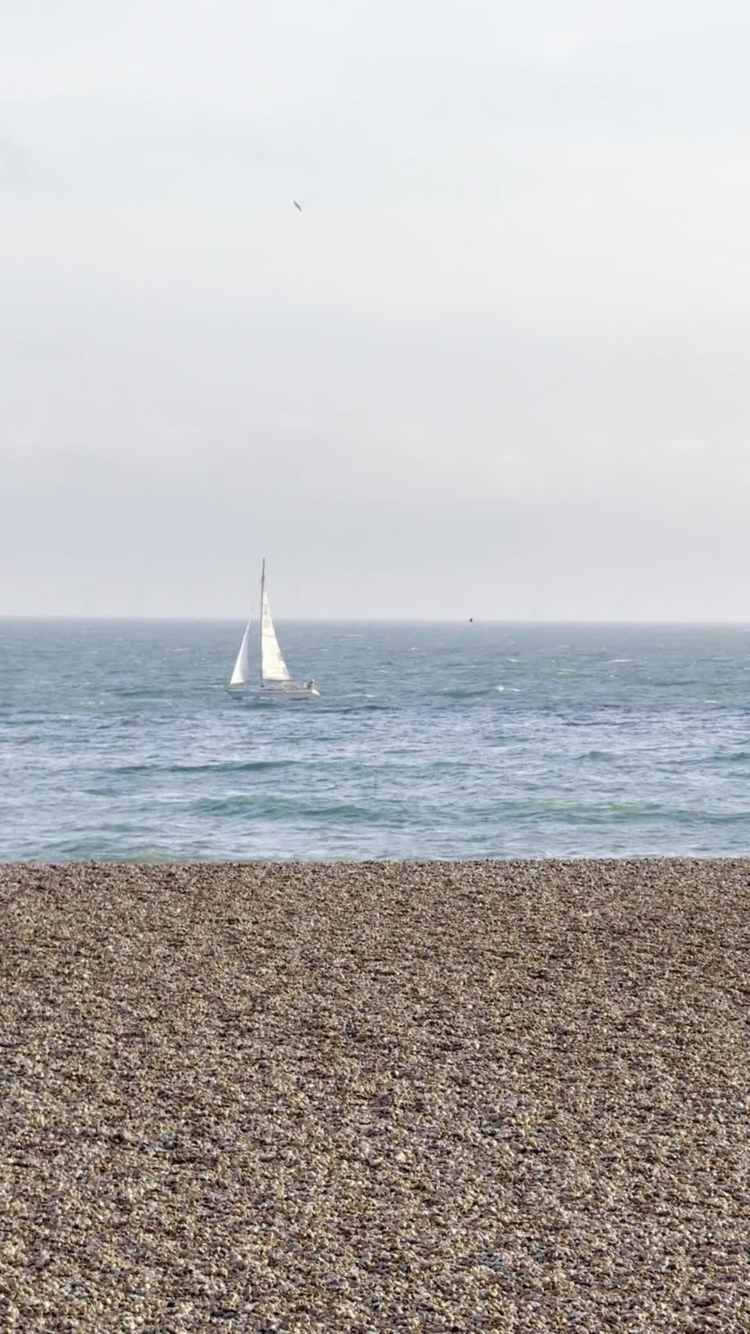 Ocean Waves At The Beach Videos, Download The BEST Free 4k Stock Video ...