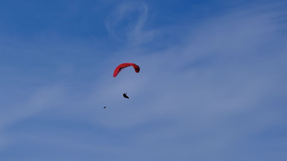 Paragliding Videos, Download The BEST Free 4k Stock Video Footage ...