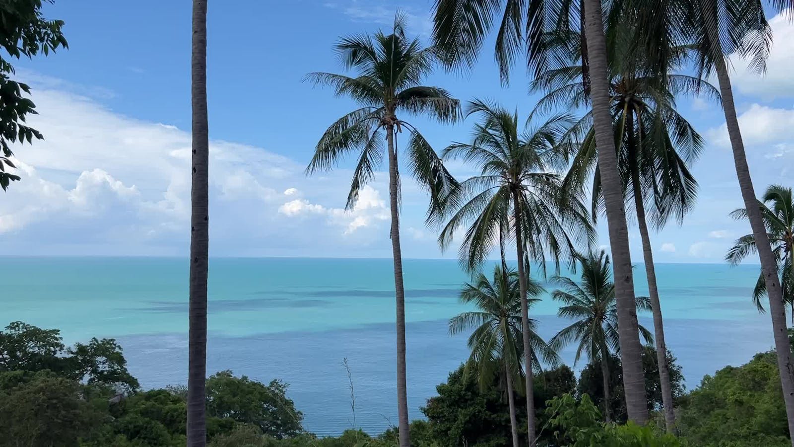 15 Seconds Videos, Download The BEST Free 4k Stock Video Footage & 15 ...