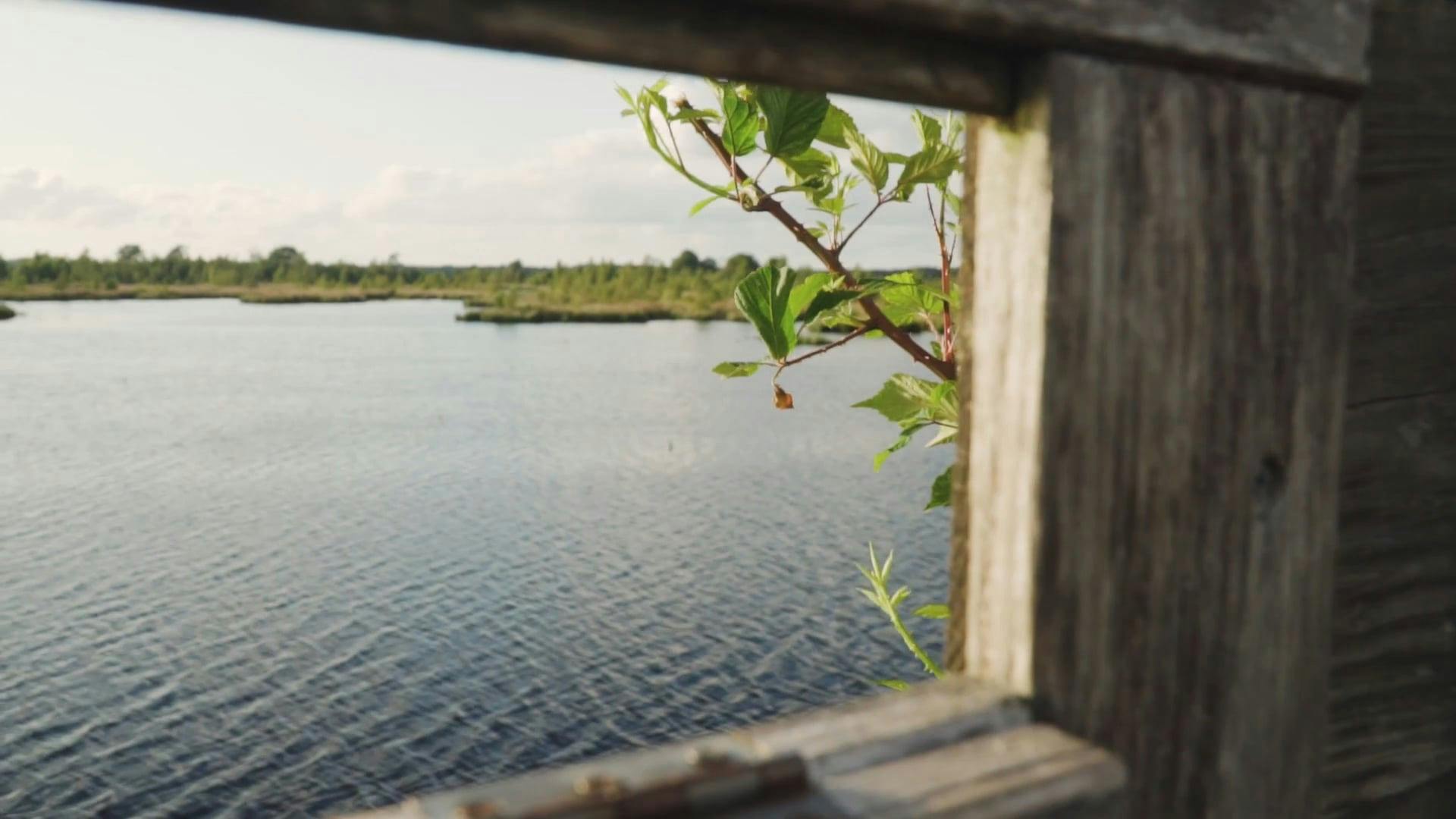 A Shot Of The Lake Through A Window · Free Stock Video