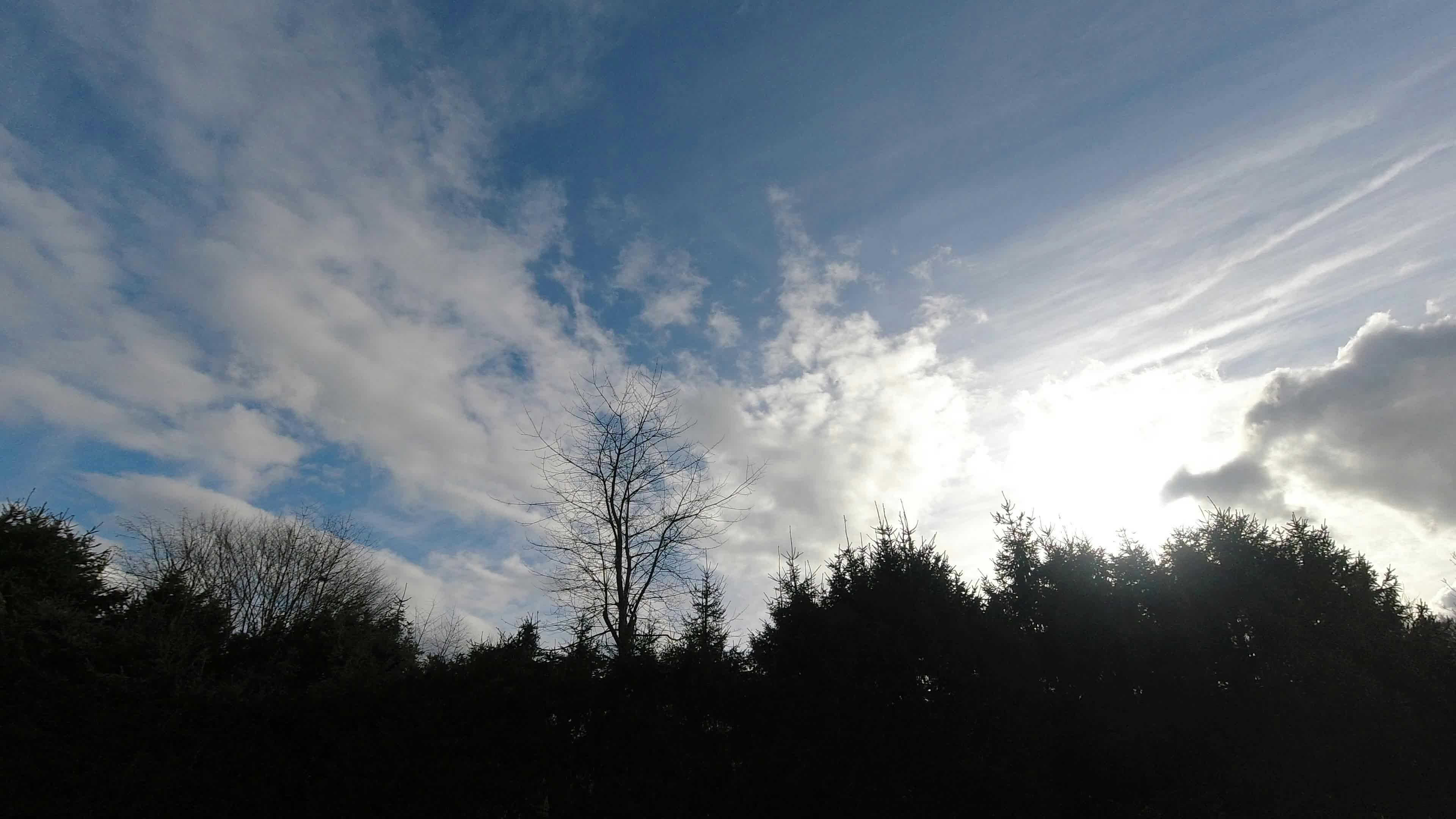 Heavy Wind Videos, Download The BEST Free 4k Stock Video Footage ...