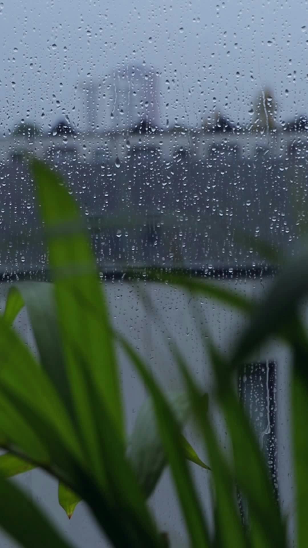 Video stok gratis tentang air, air menetes, alam, angin ribut, cuaca ...