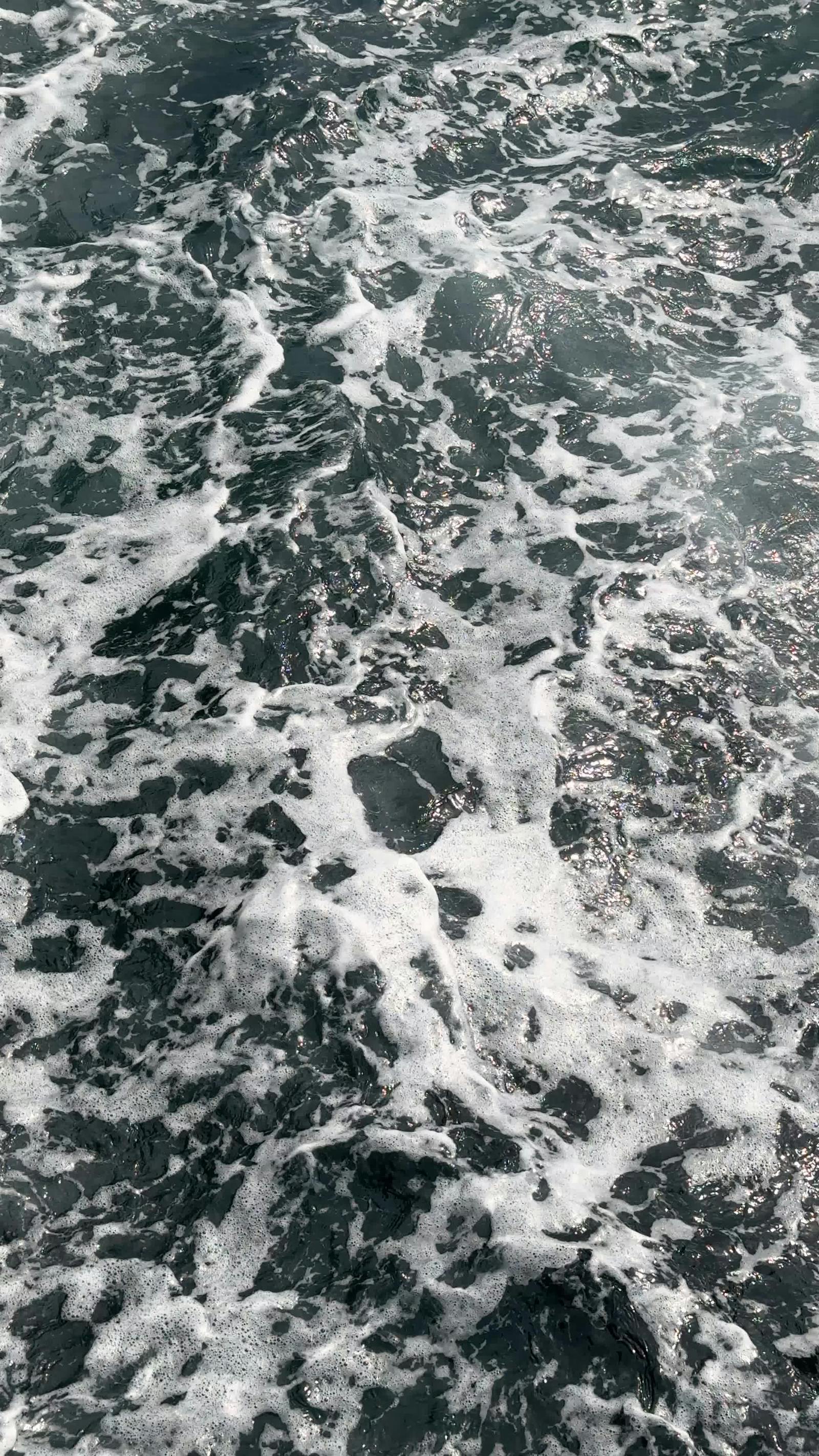 Motion Backgrounds Videos, Download The BEST Free 4k Stock Video ...