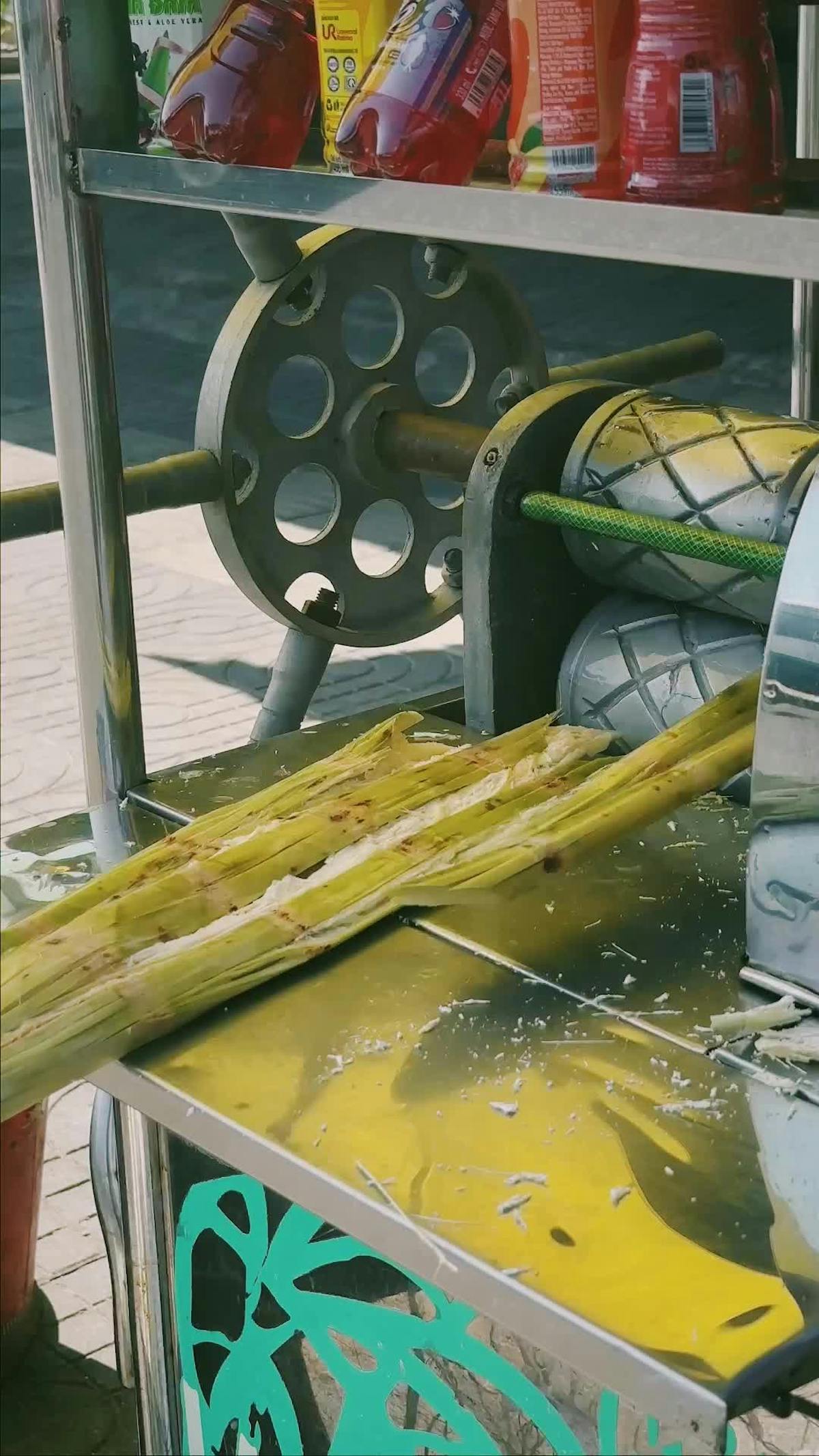 Sugar Cane Videos, Download The BEST Free 4k Stock Video Footage ...